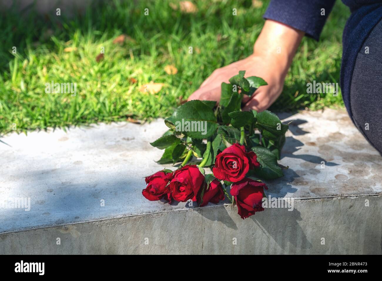 A woman grabbing and holding red roses flower on the ground while ...