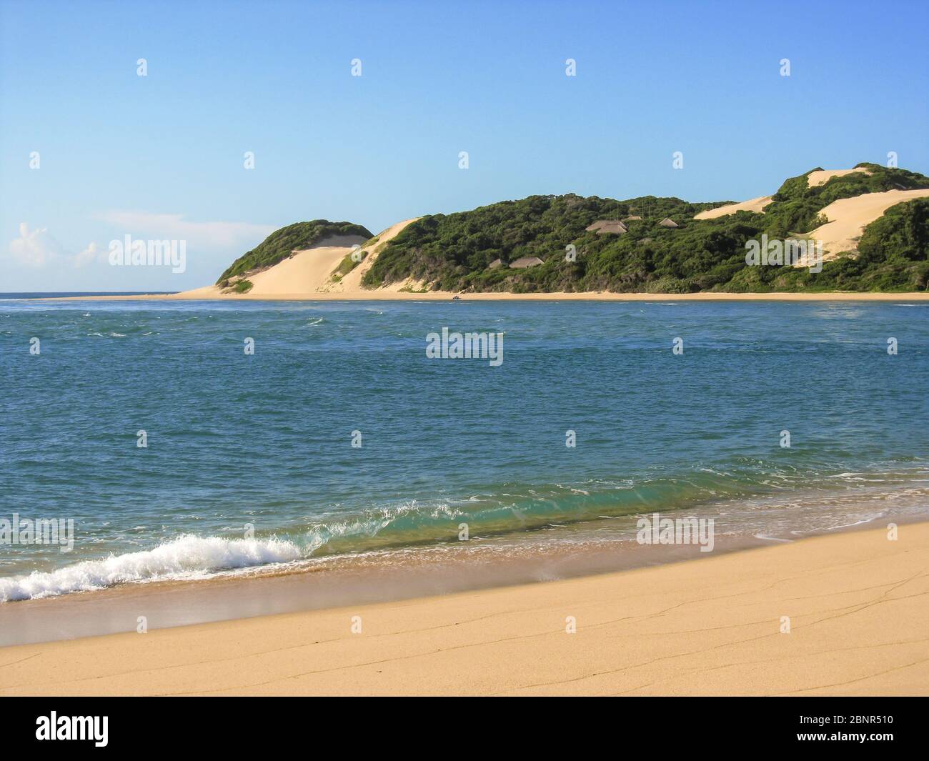 Tall dunes of the beach dune cordon which stretch all along the ...