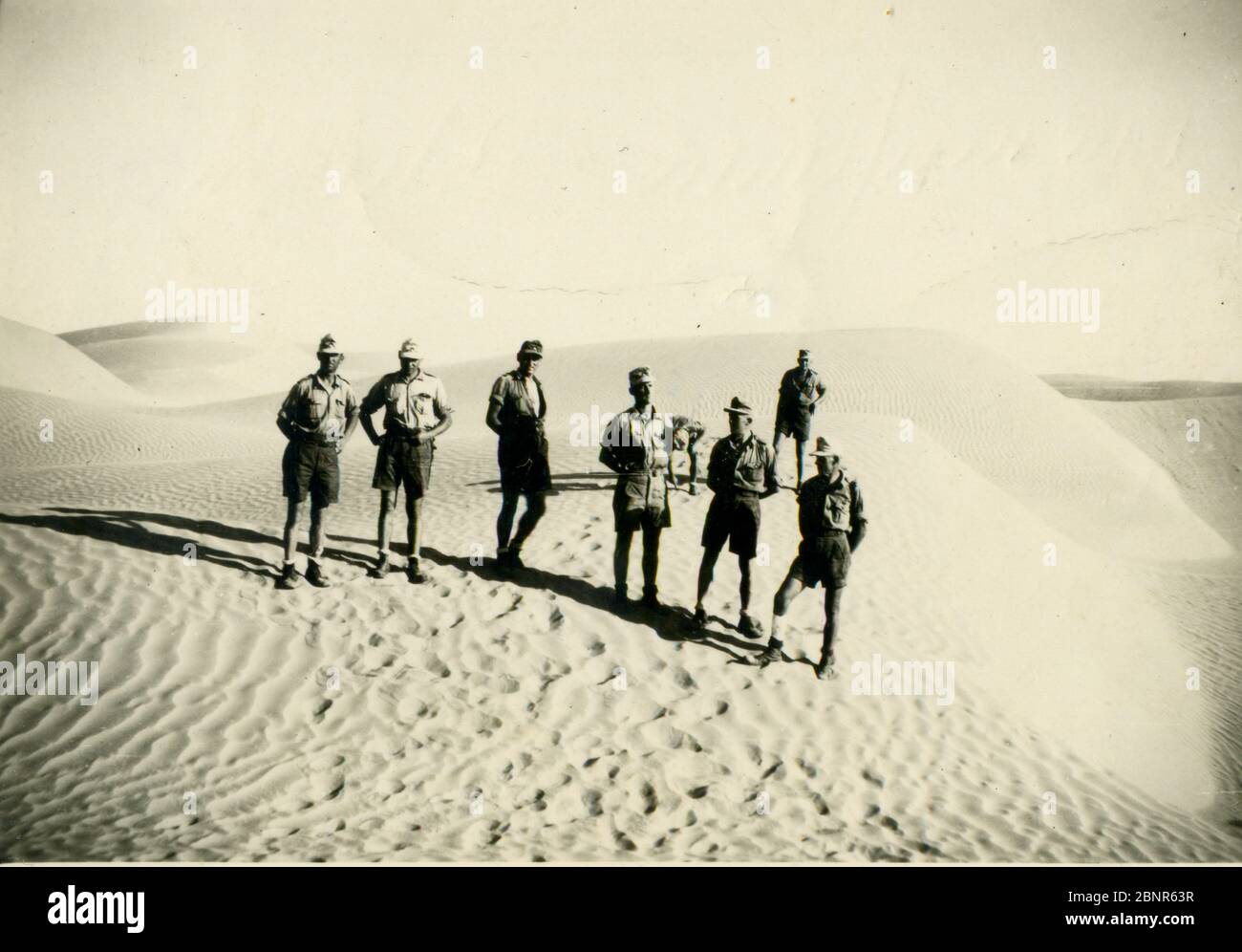 Afrikakorps hi-res stock photography and images - Alamy
