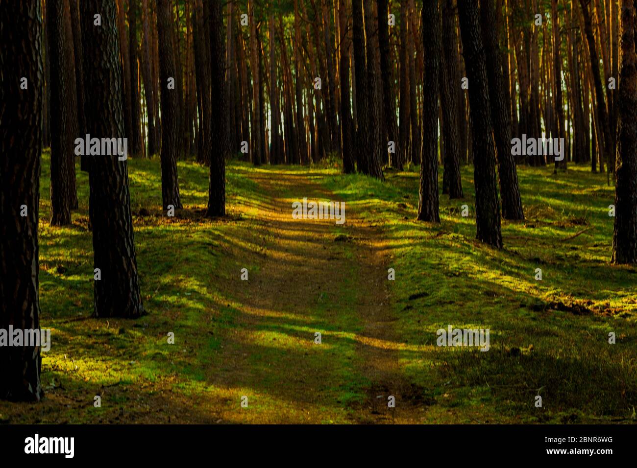 Spring floor hi-res stock photography and images - Alamy