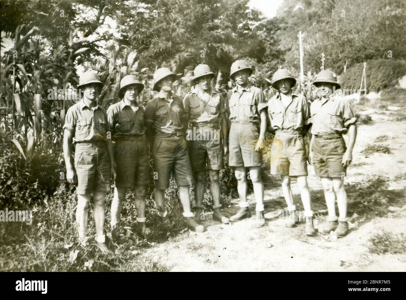 events, Second World War / WWII, North Africa, soldiers of the German ...