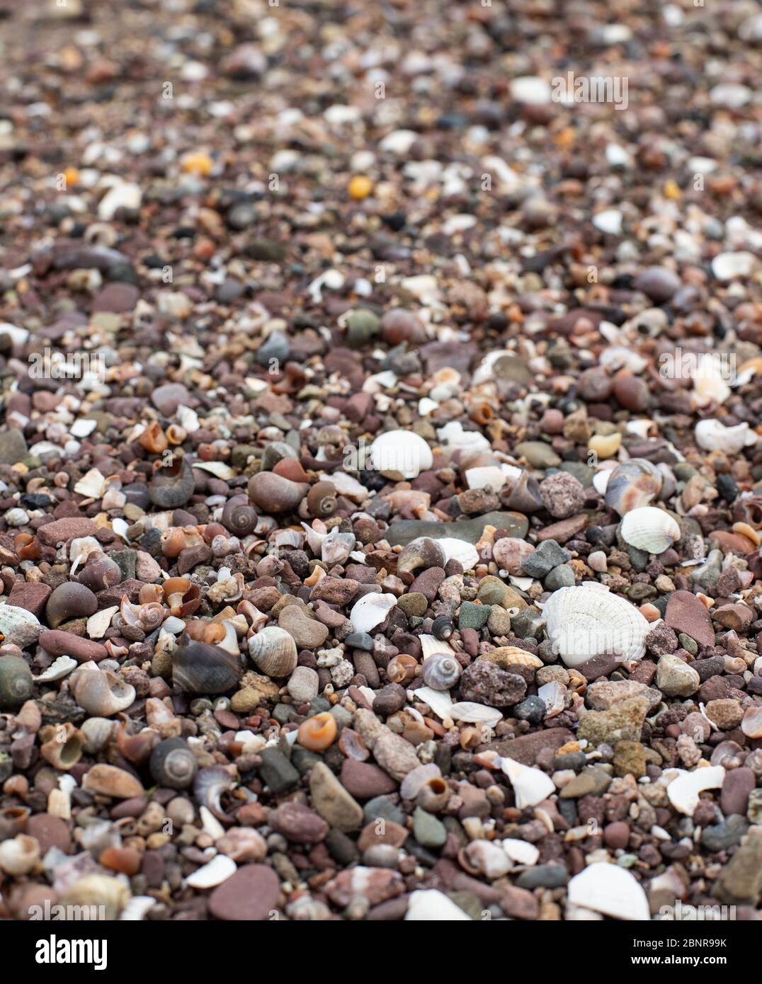 Periwinkle beach hi-res stock photography and images - Alamy