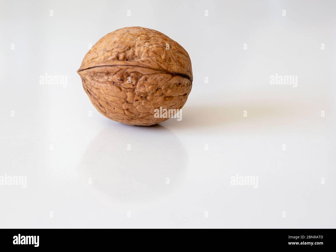 Walnut photo hi-res stock photography and images - Alamy