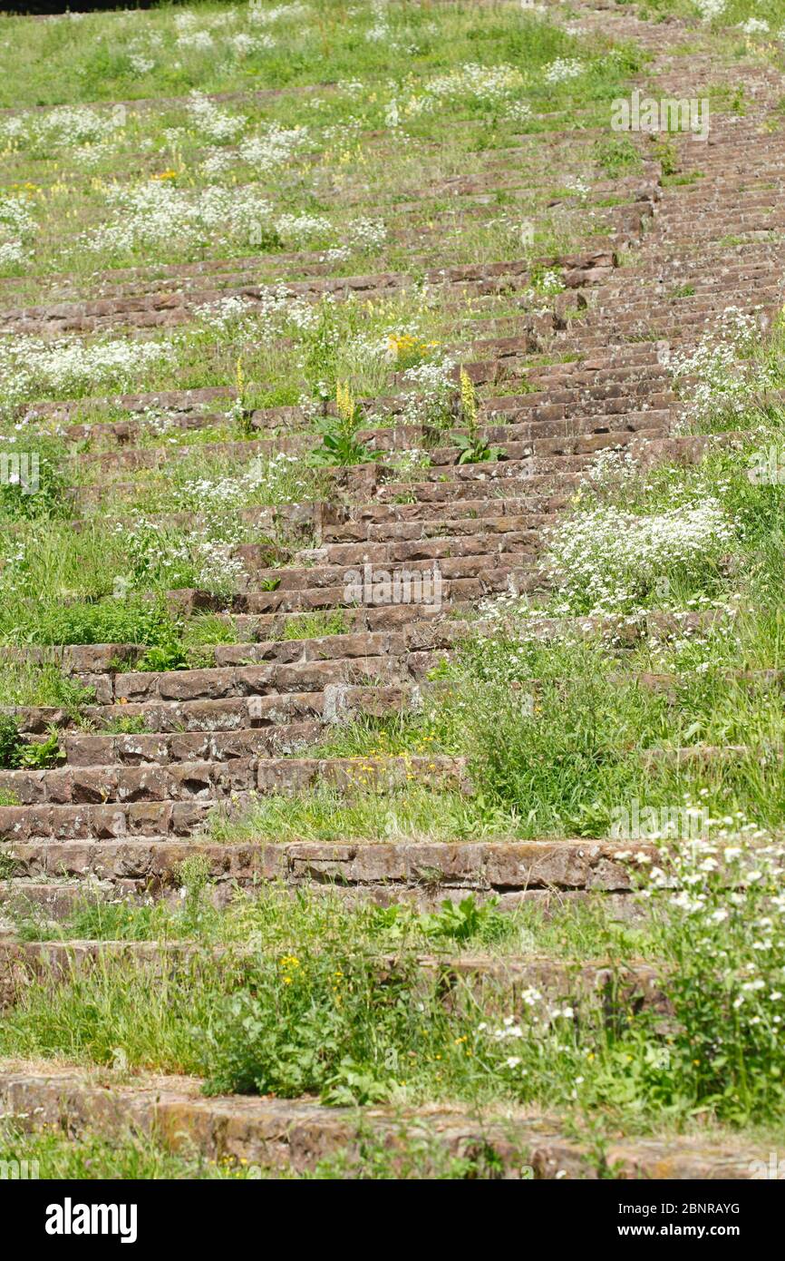 Thingstatte heidelberg hi-res stock photography and images - Alamy