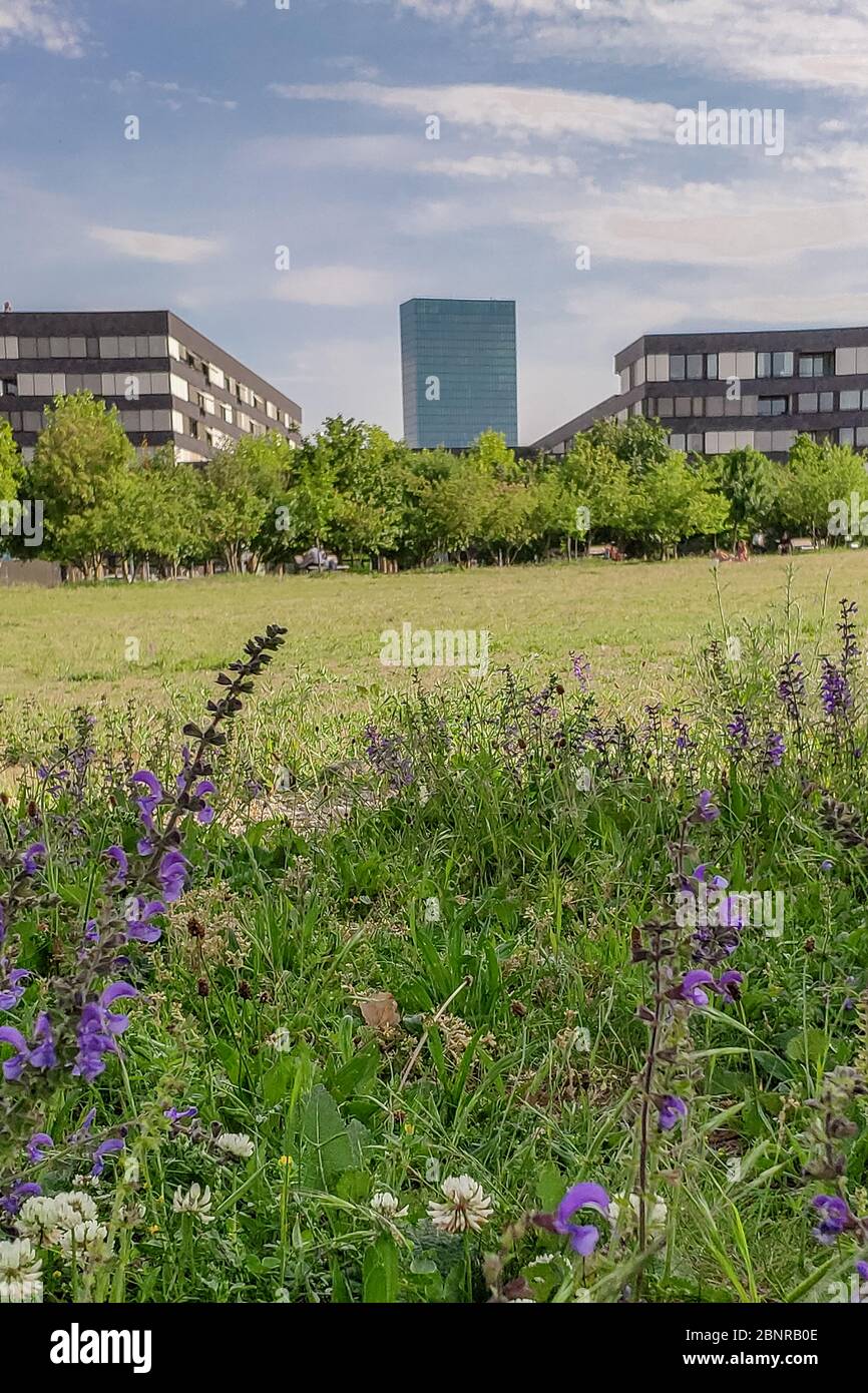 Basel exhibition tower hi-res stock photography and images - Alamy