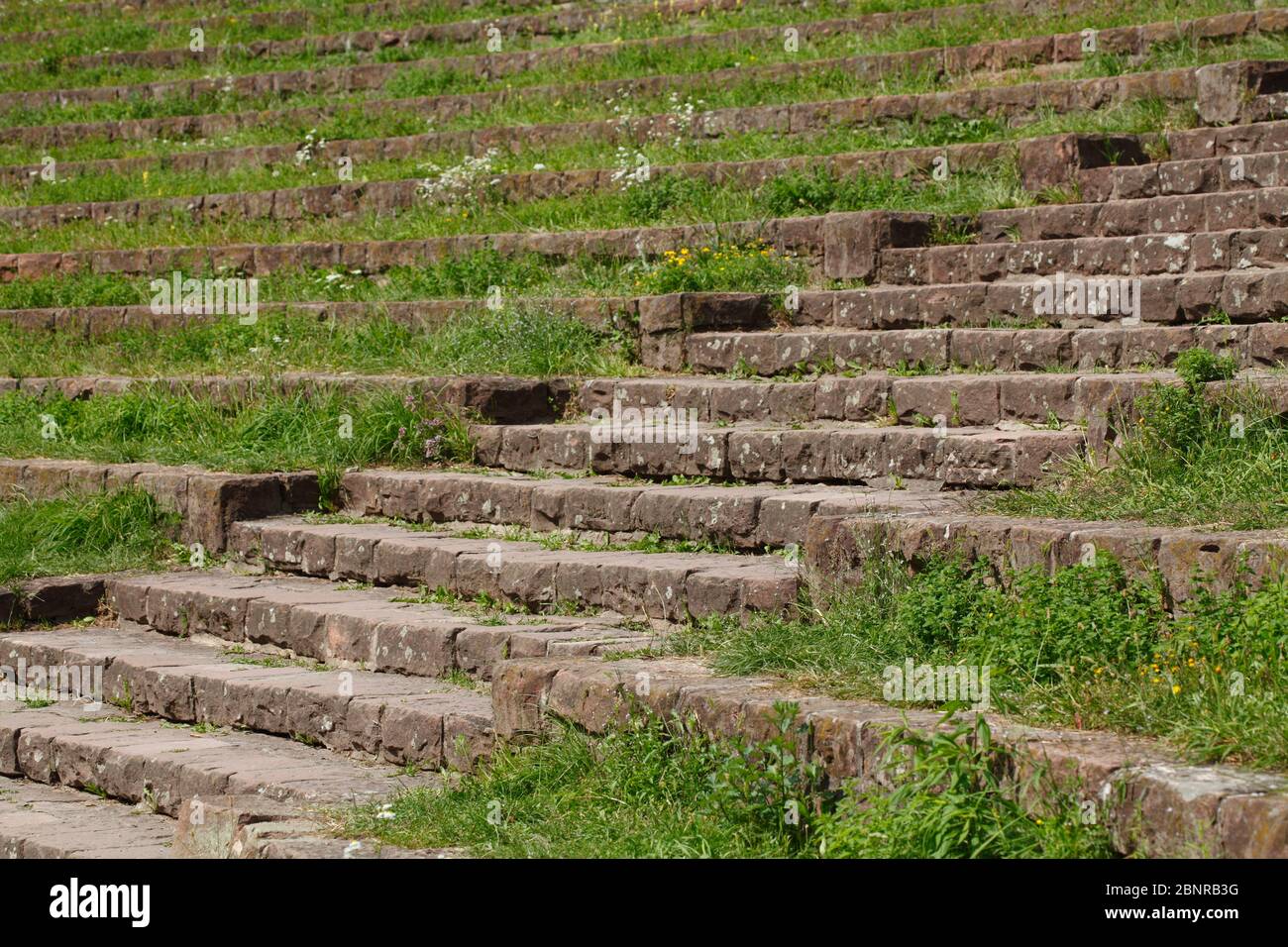 Thingstatte heidelberg hi-res stock photography and images - Alamy