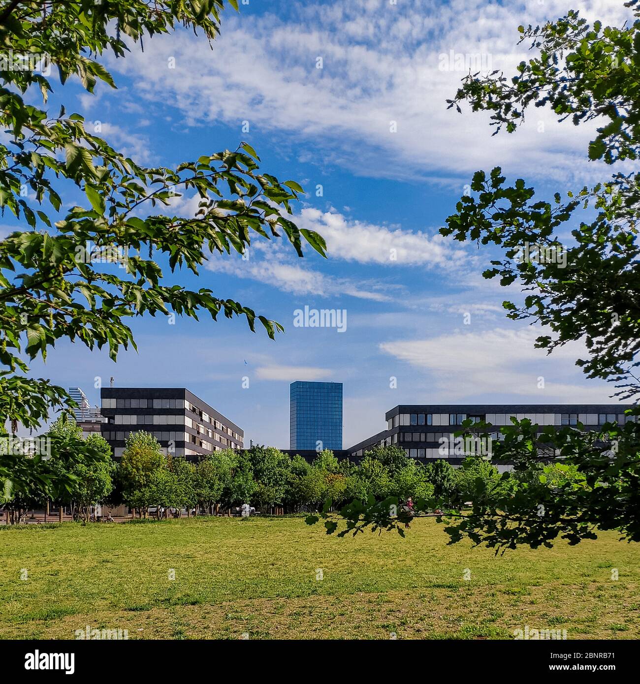Messeturm (exhibition tower) in Basel, Schweiz Stock Photo - Alamy