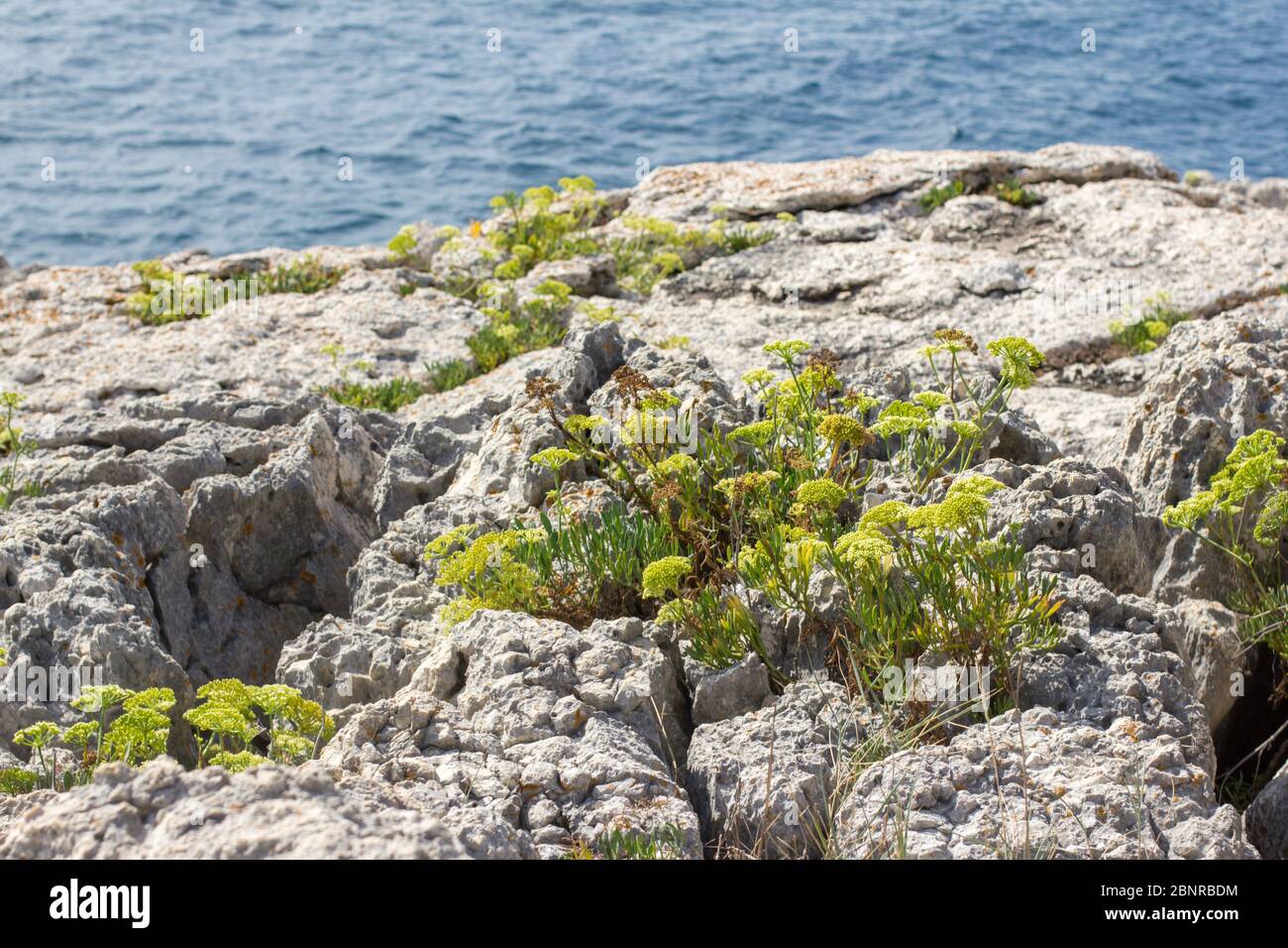 Sea between rocks hi-res stock photography and images - Alamy