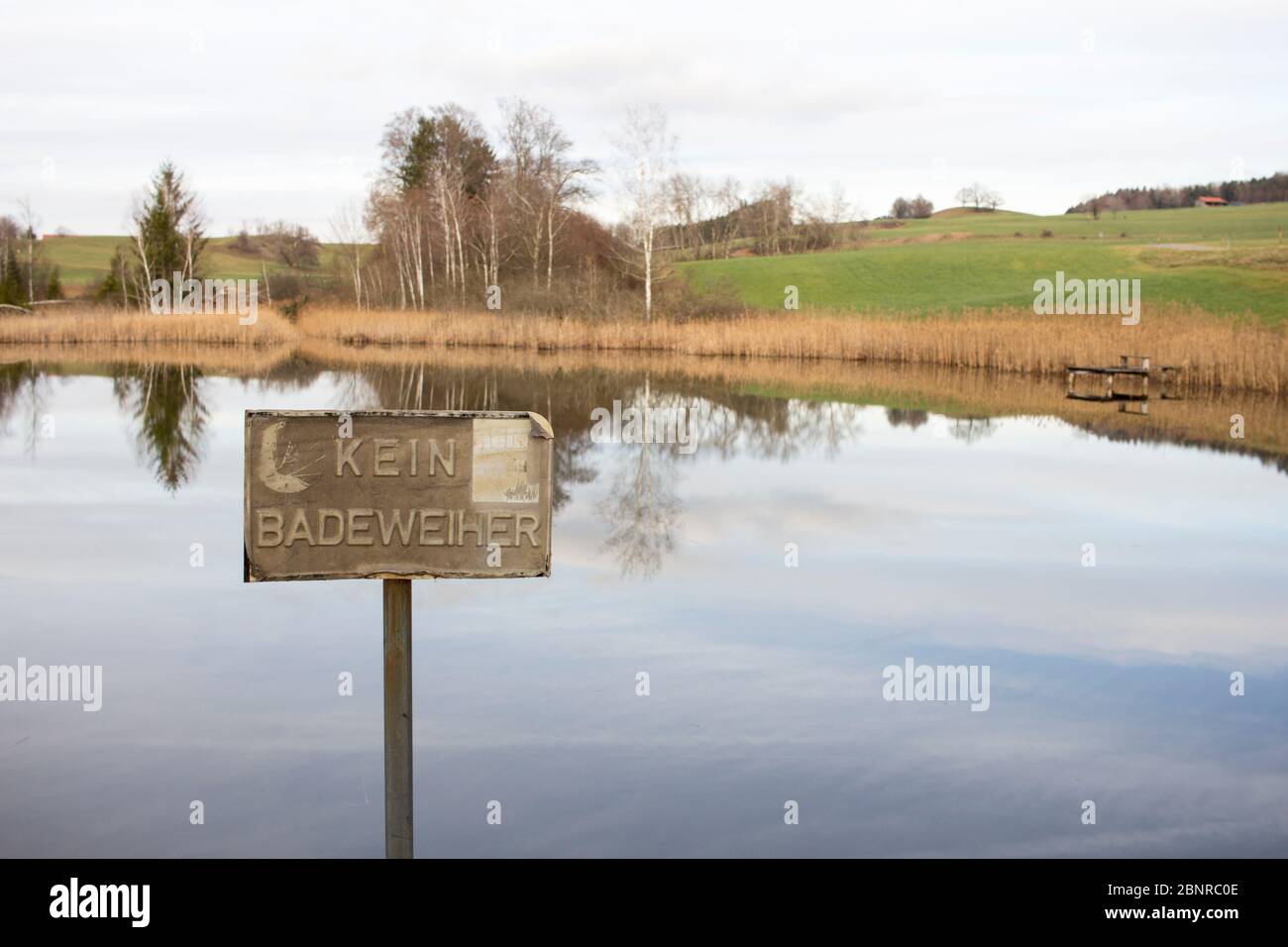 Bathing pond hi-res stock photography and images - Alamy