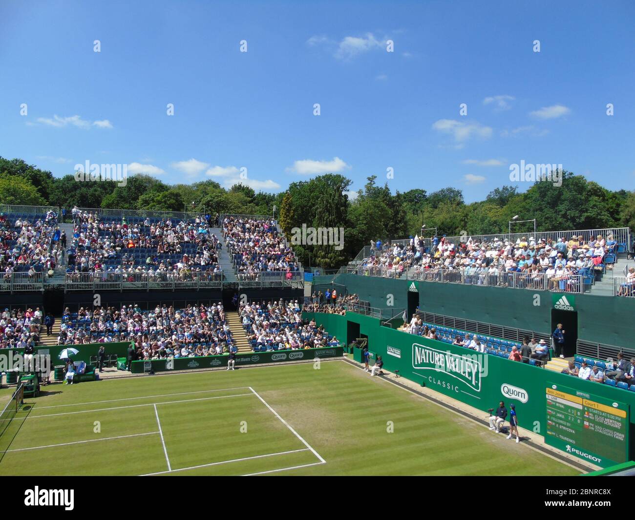 Ann Jones High Resolution Stock Photography and Images - Alamy