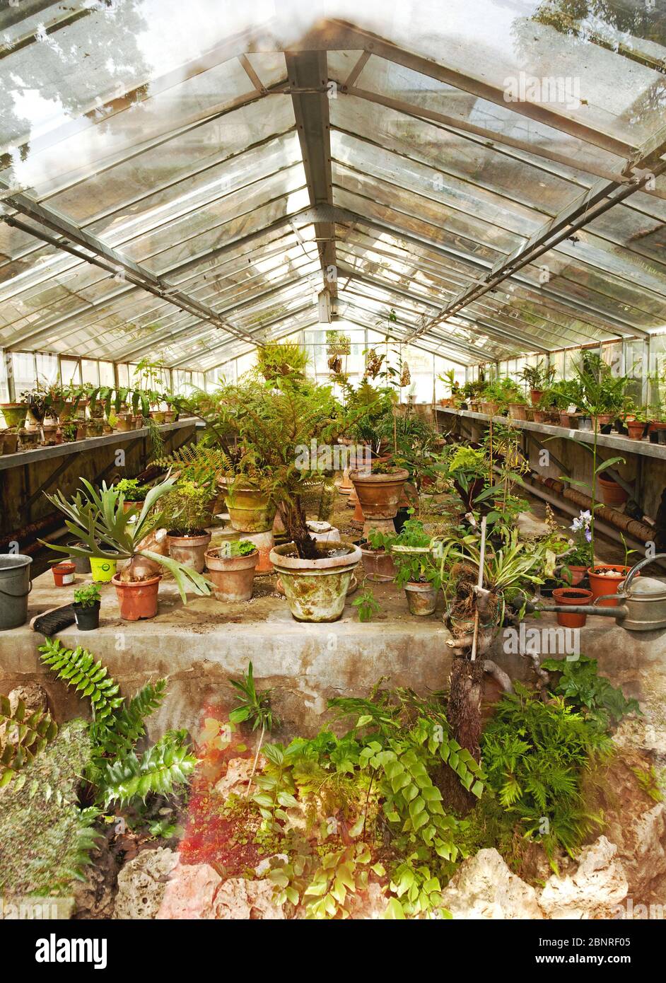 Italian style greenhouse hi-res stock photography and images - Alamy