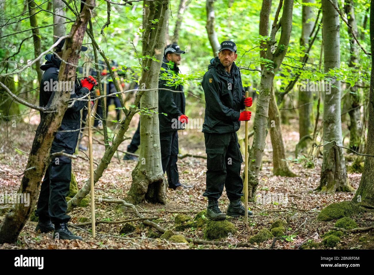A police search team search woodland next to Stowfield Quarry near ...