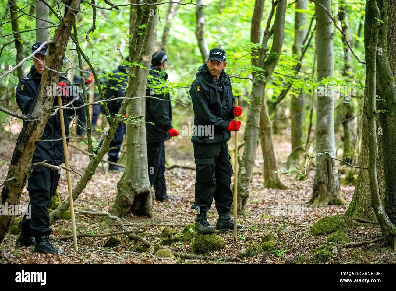 A police search team search woodland next to Stowfield Quarry near ...