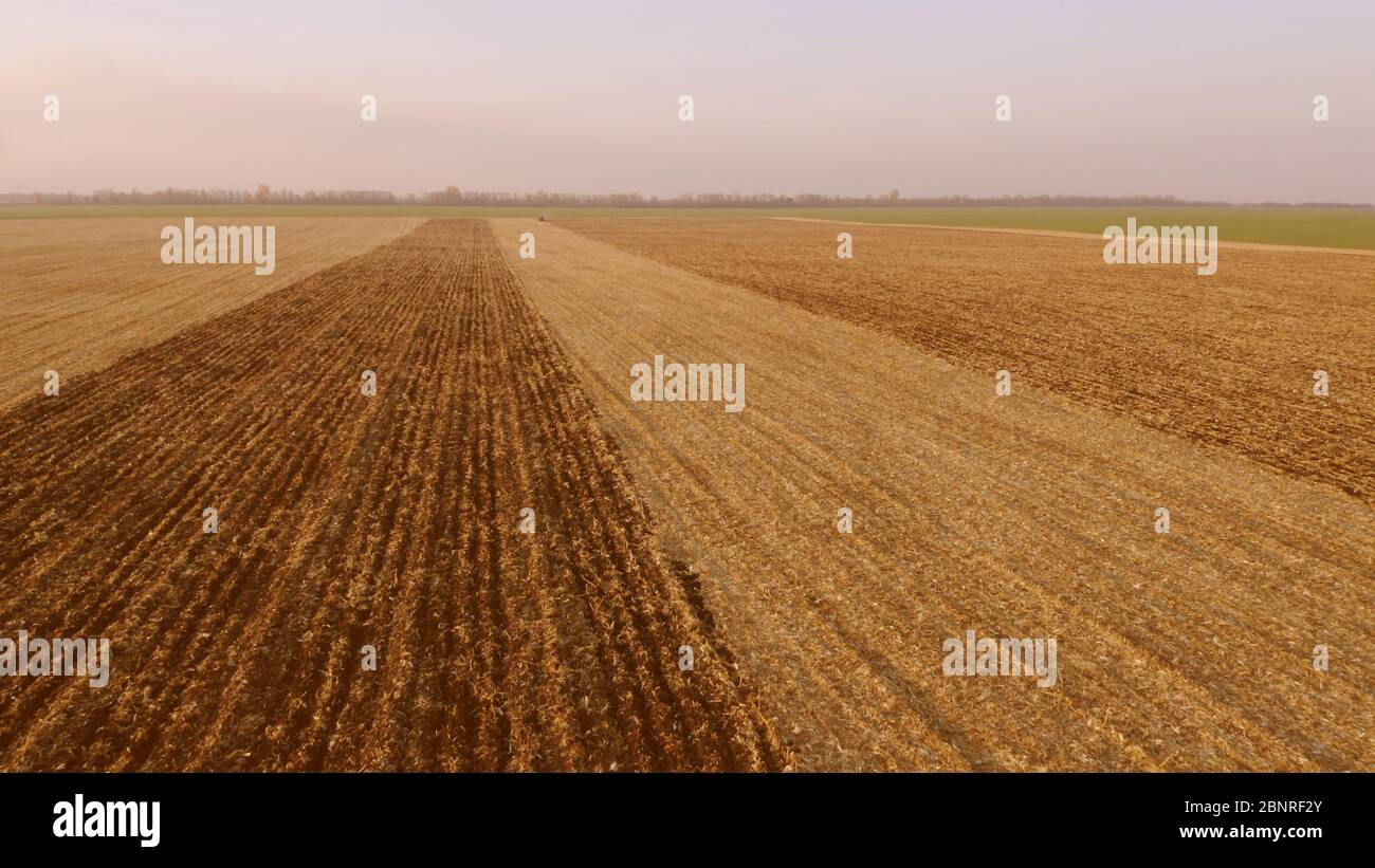 Aerial view of wheat field after harvesting Stock Photo - Alamy