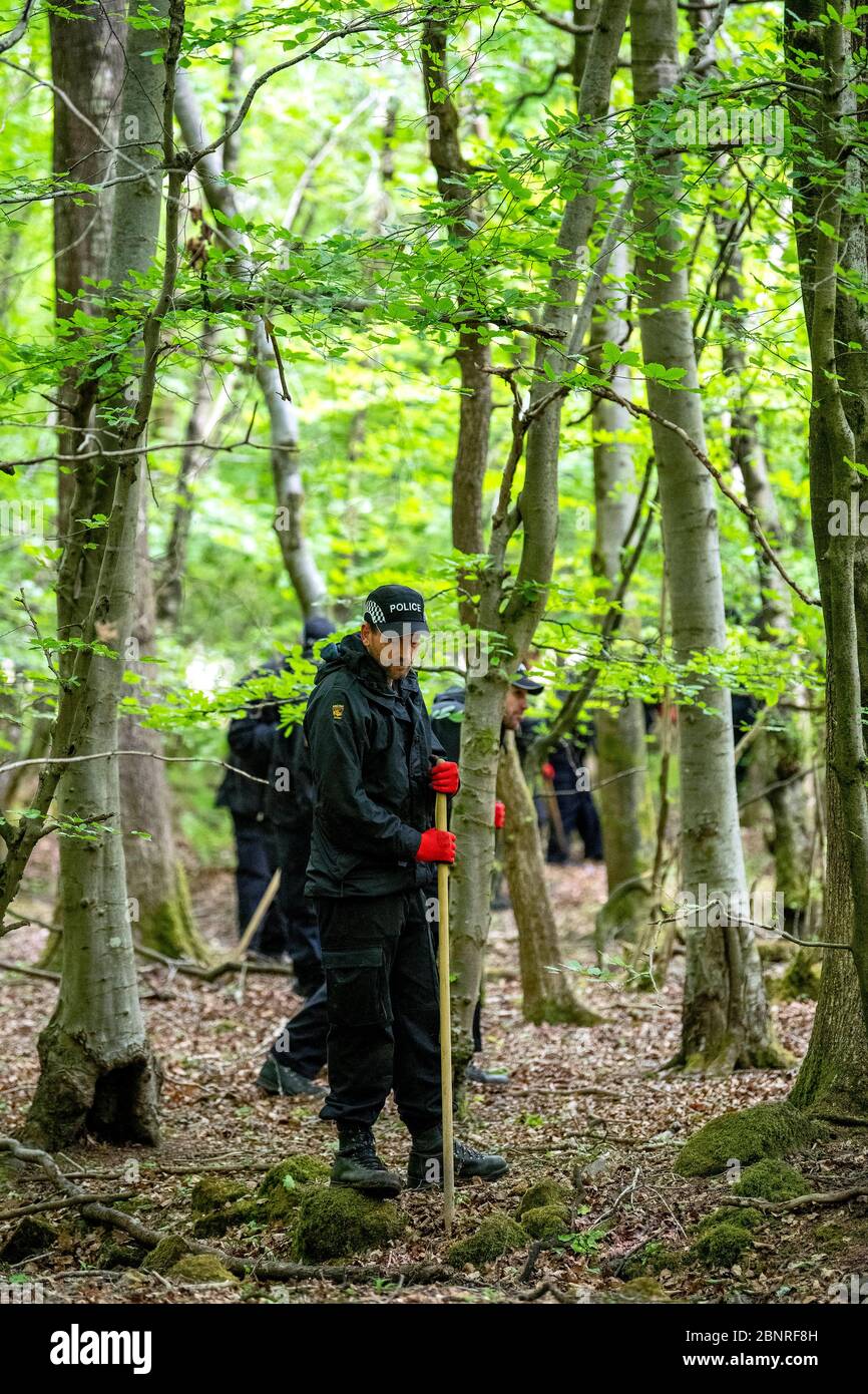 A police search team search woodland next to Stowfield Quarry near ...