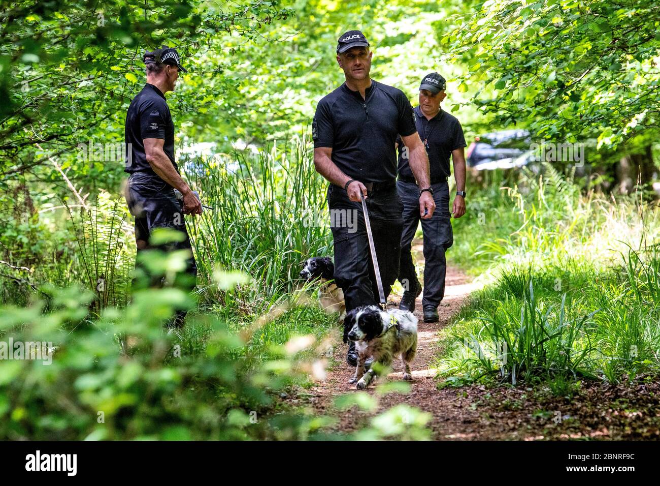 A police search team search woodland next to Stowfield Quarry near ...