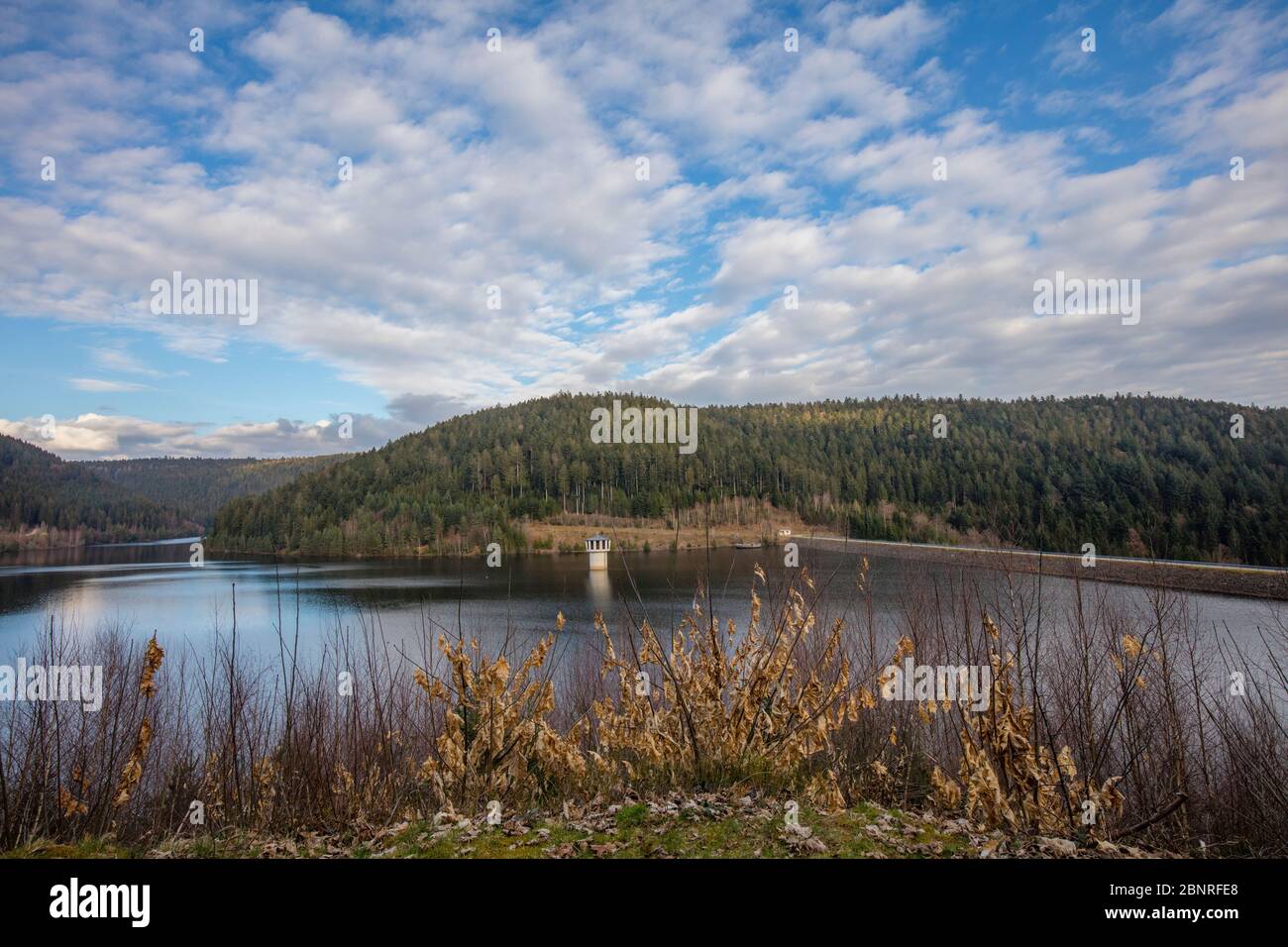 Kleine Kinzig reservoir, Black Forest Stock Photo - Alamy