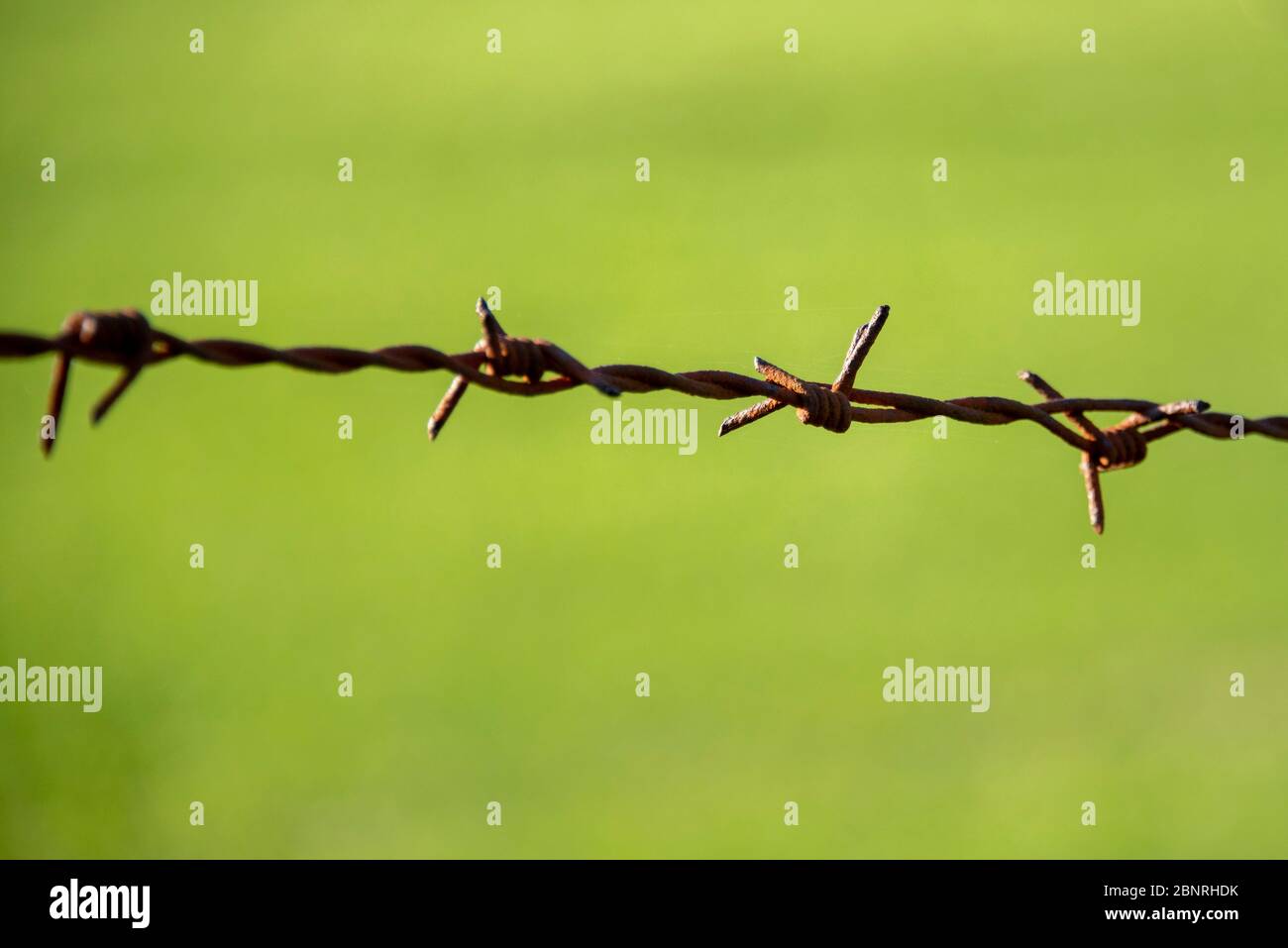 Spiky wire hi-res stock photography and images - Alamy