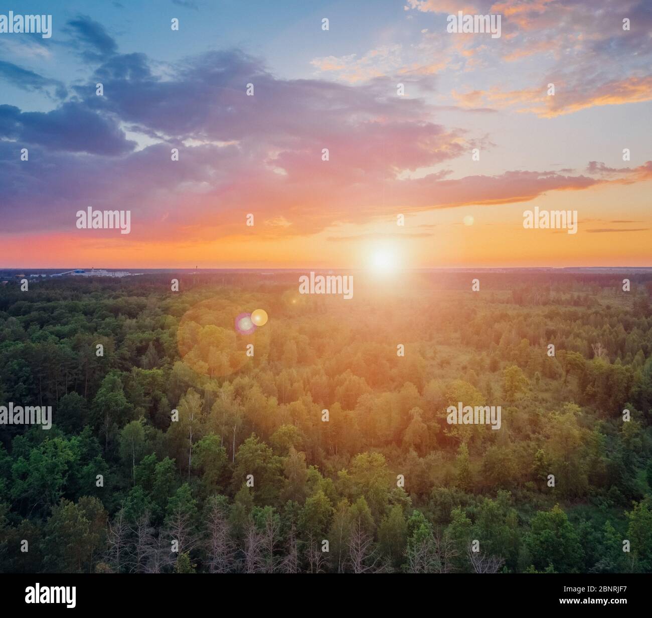 Forest at sunset. The sun shines over the treetops against a beautiful ...