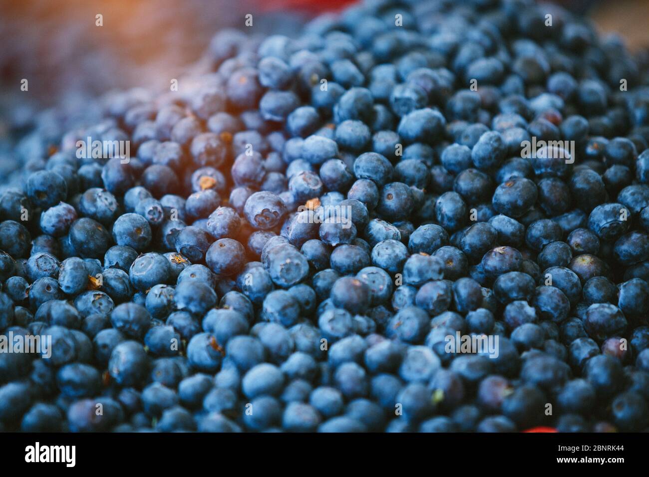 Blueberries at Farmers' market Stock Photo - Alamy