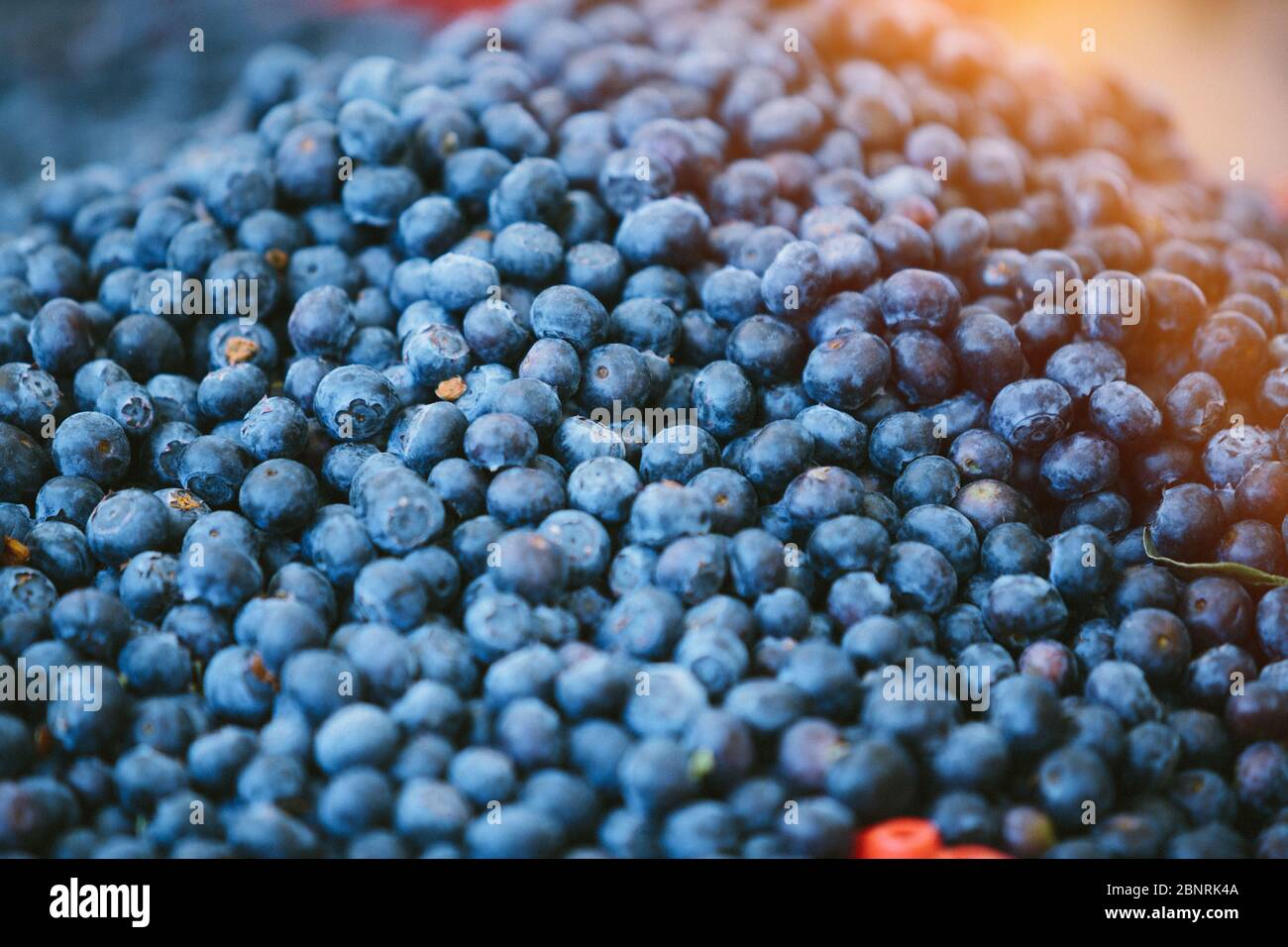 Blueberries at Farmers' market Stock Photo - Alamy