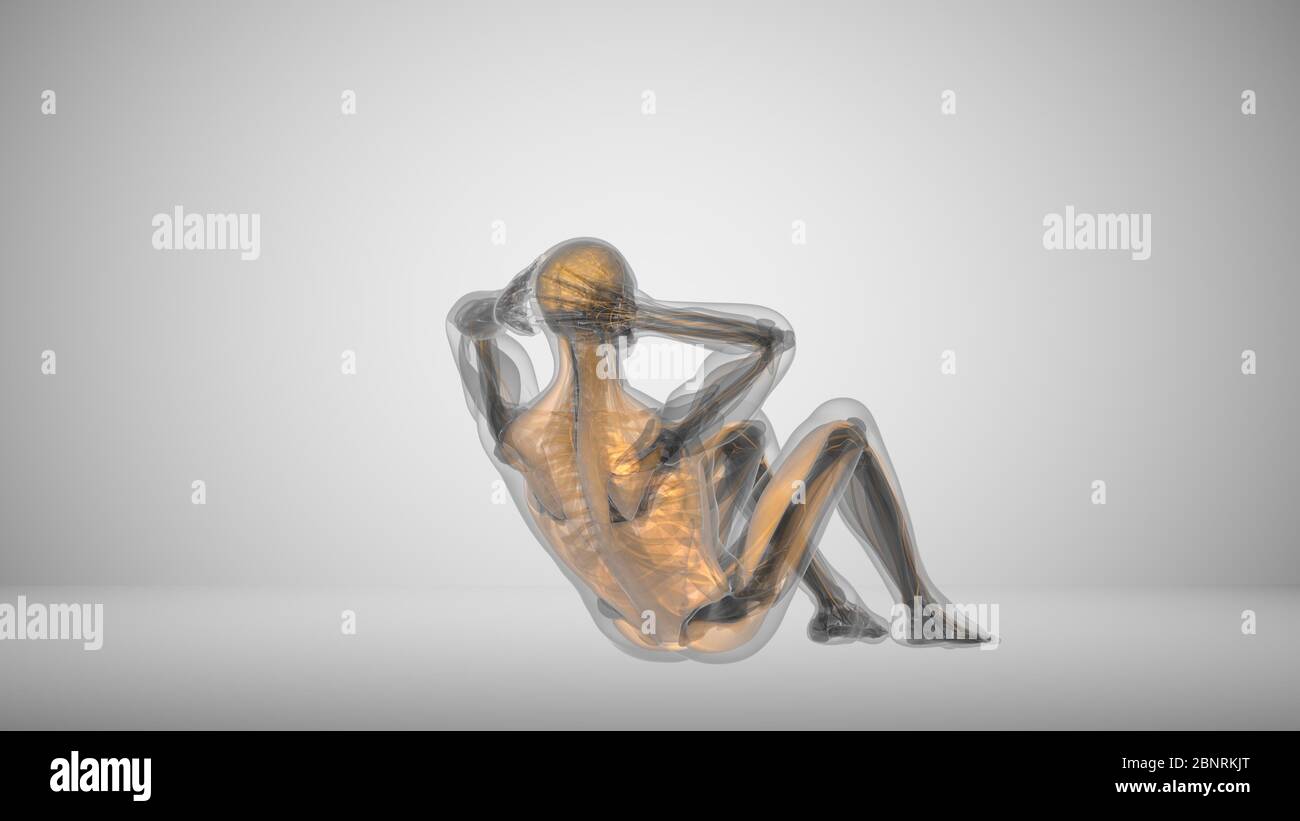 3d abdominal abs background hi-res stock photography and images - Alamy