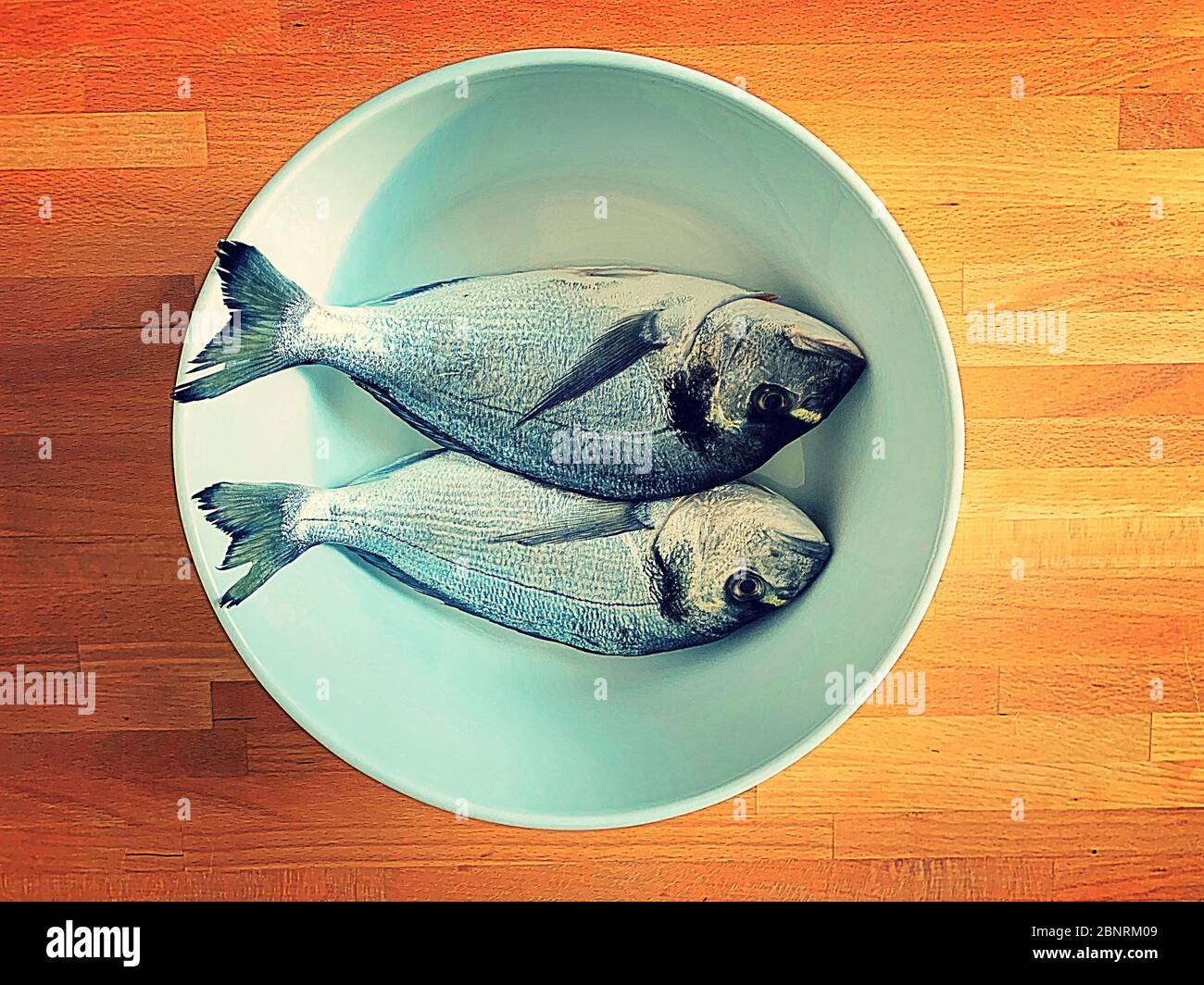 Sea bream, fish Stock Photo - Alamy