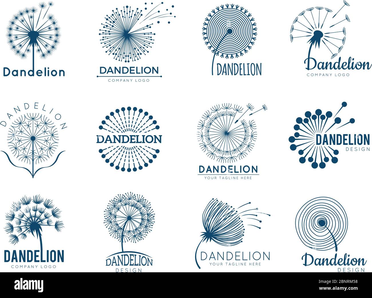 Botany dandelion logo. Herbal leaves flowers vector illustrations for ...