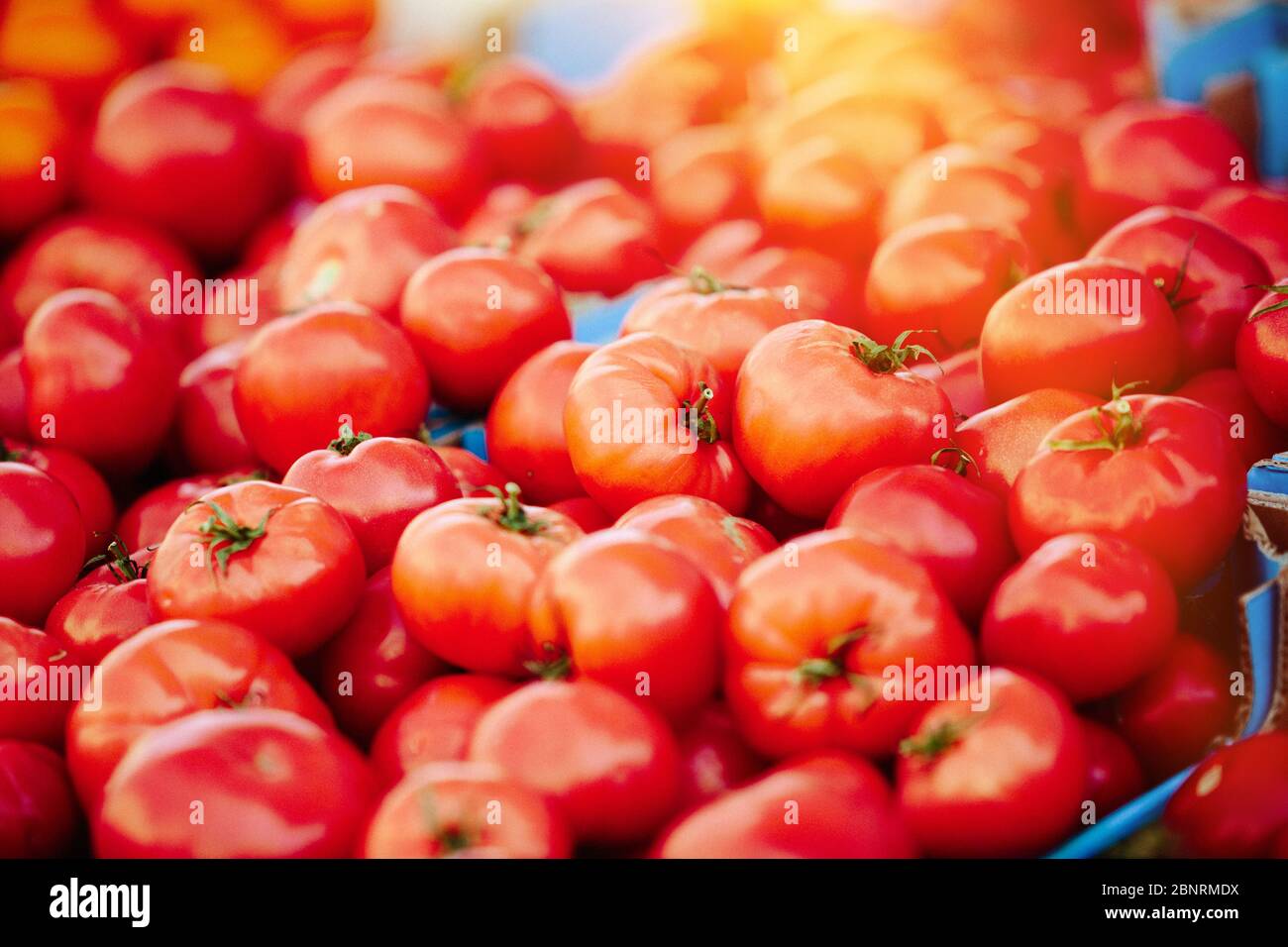 Fresh tomatoes at Farmers' market Stock Photo - Alamy