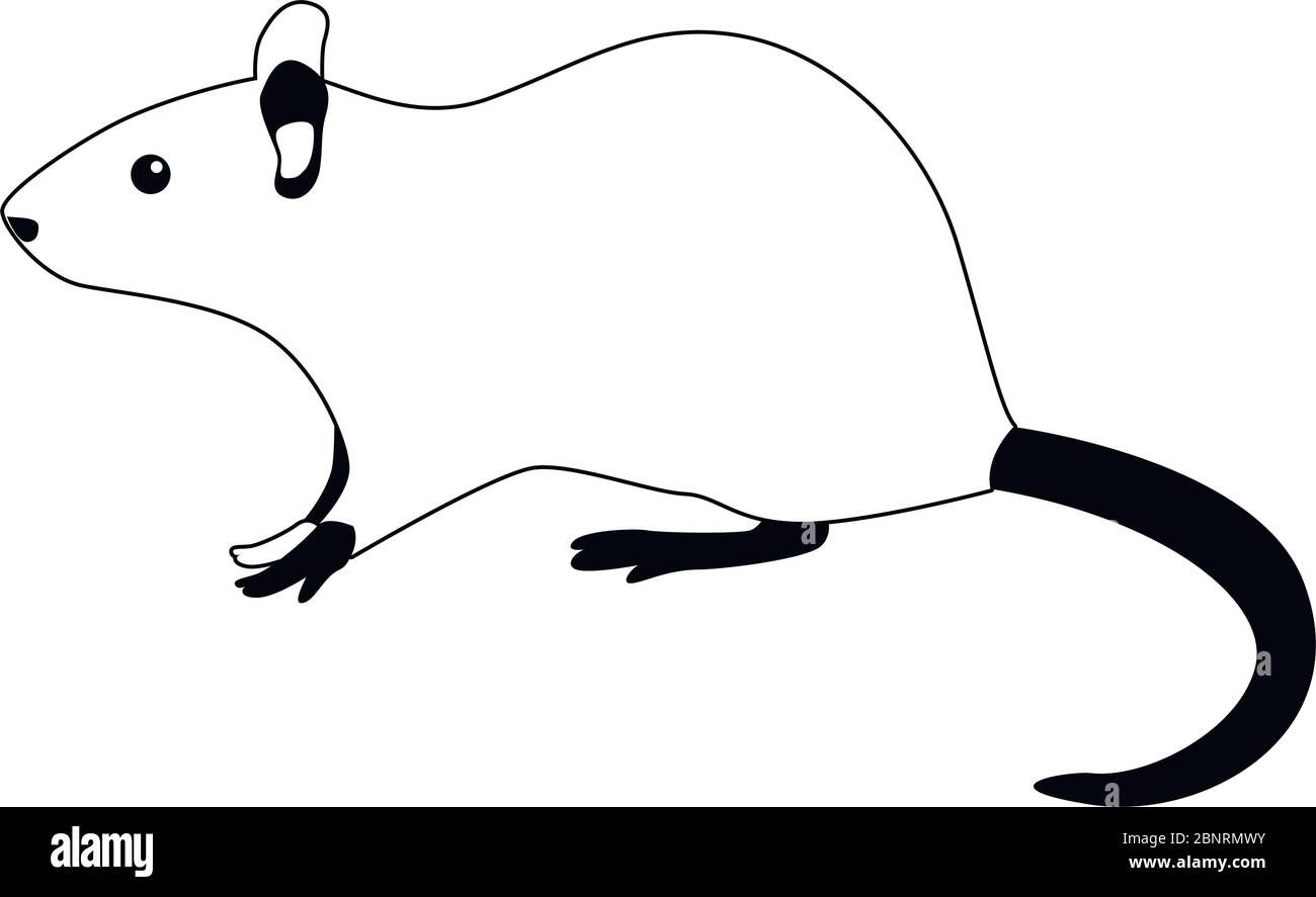 Rat, mouse. Linear vector illustration. Black and white. Isolated on ...