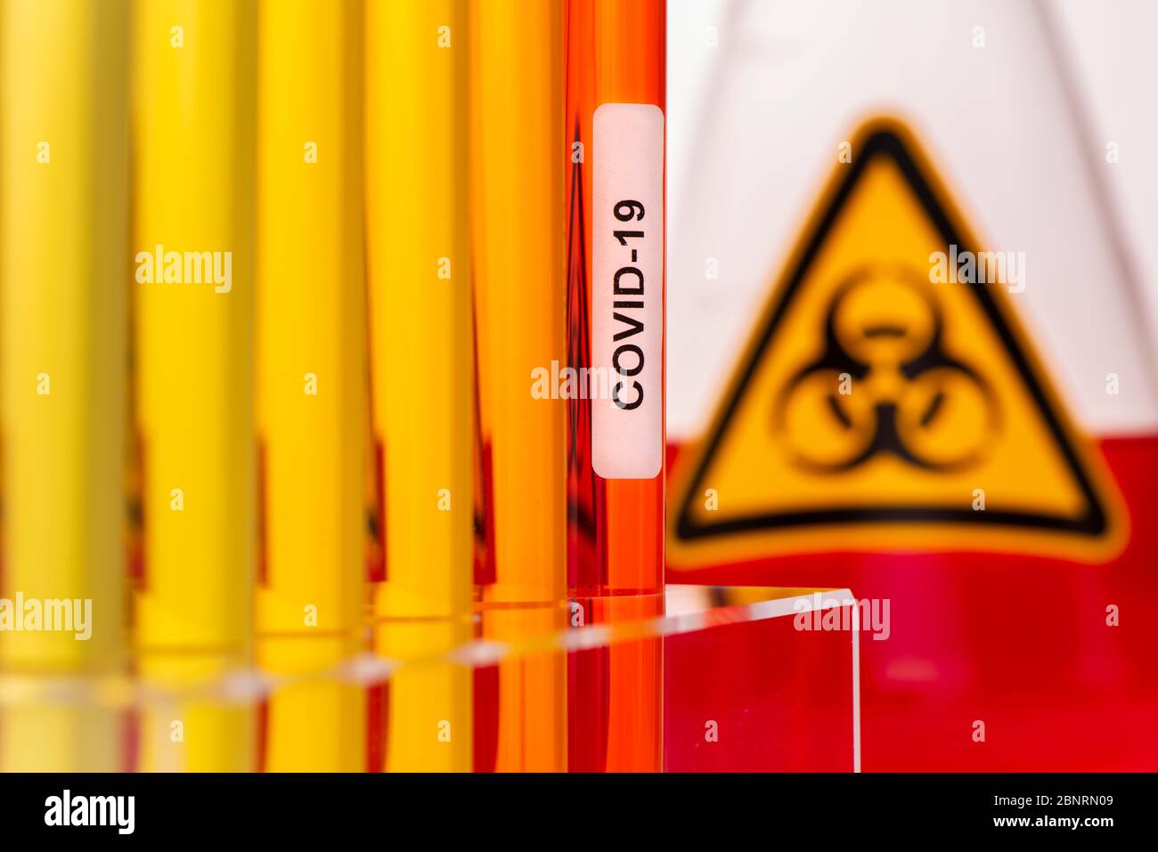 Test tubes with corona viruses with biohazard in the laboratory hi-res ...