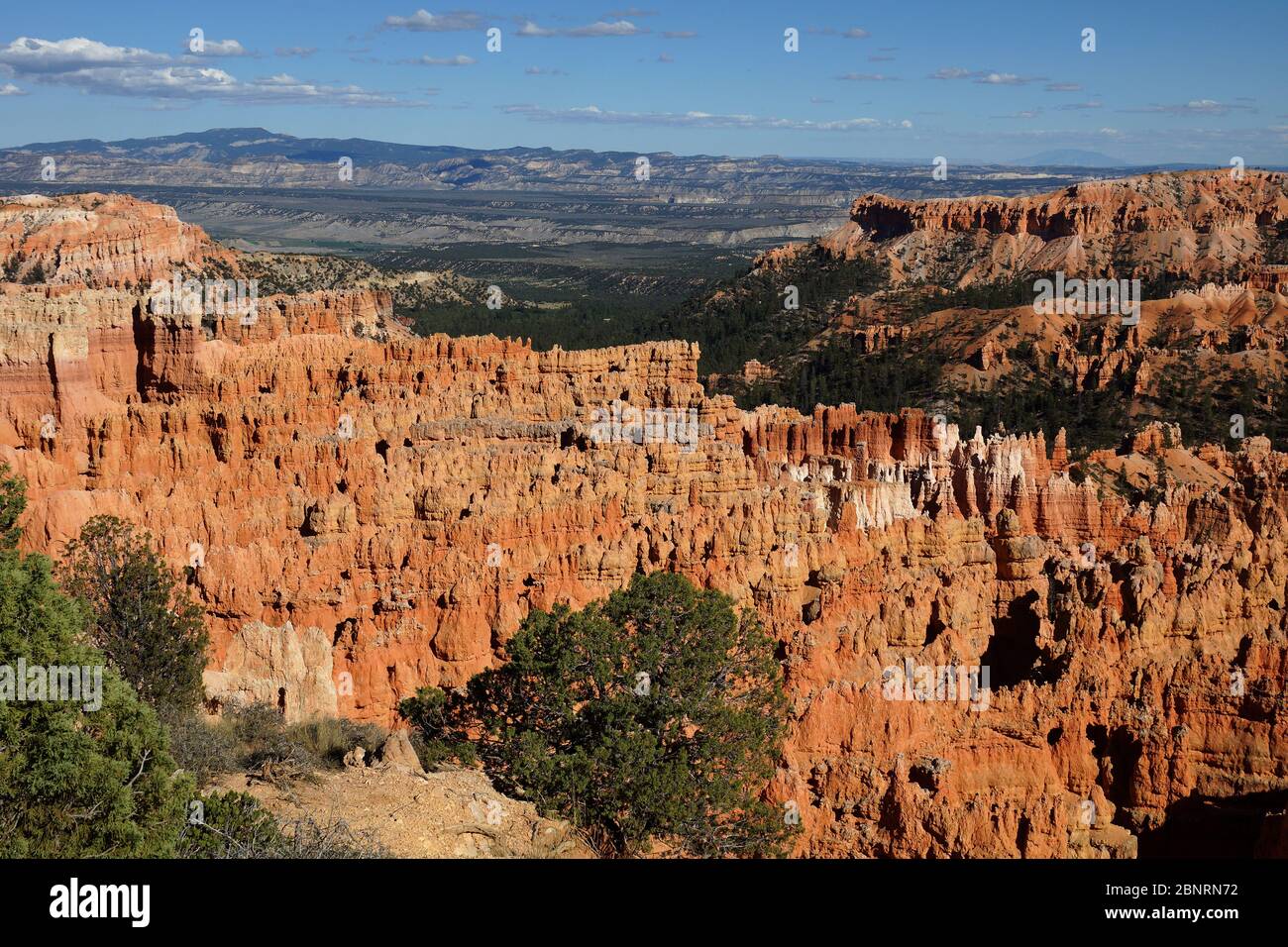 Nationalpark water hi-res stock photography and images - Alamy