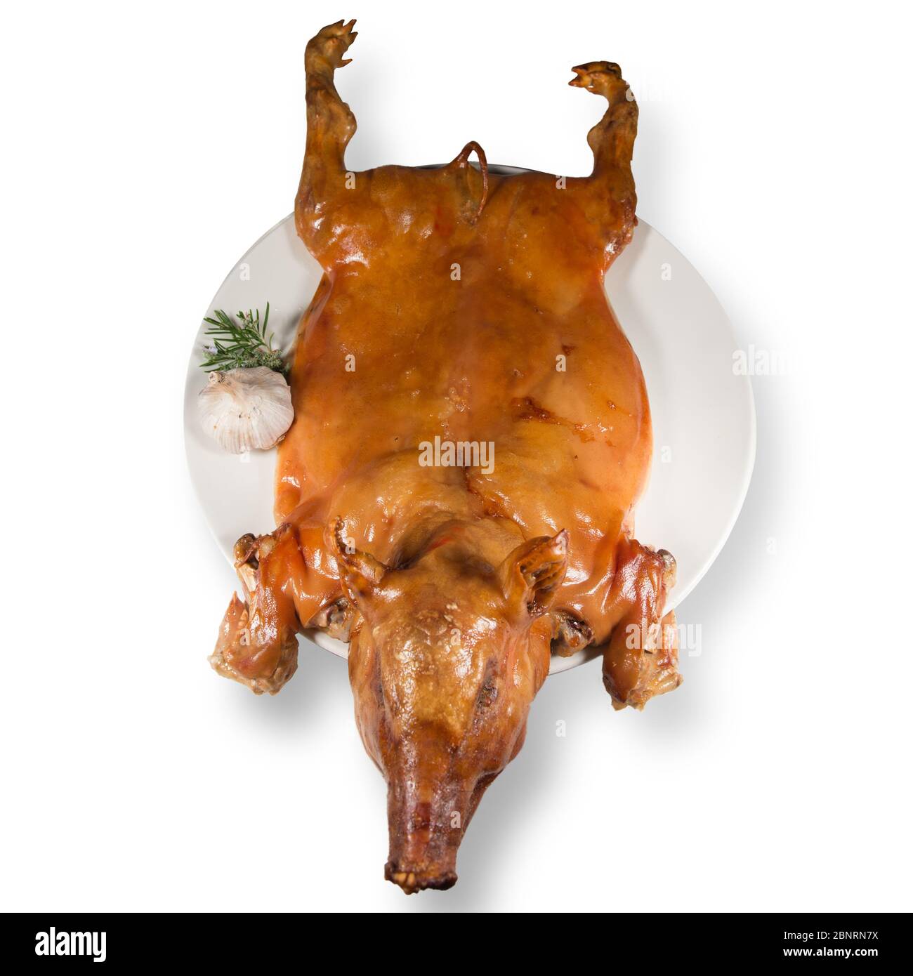Suckling pig feast hi-res stock photography and images - Alamy