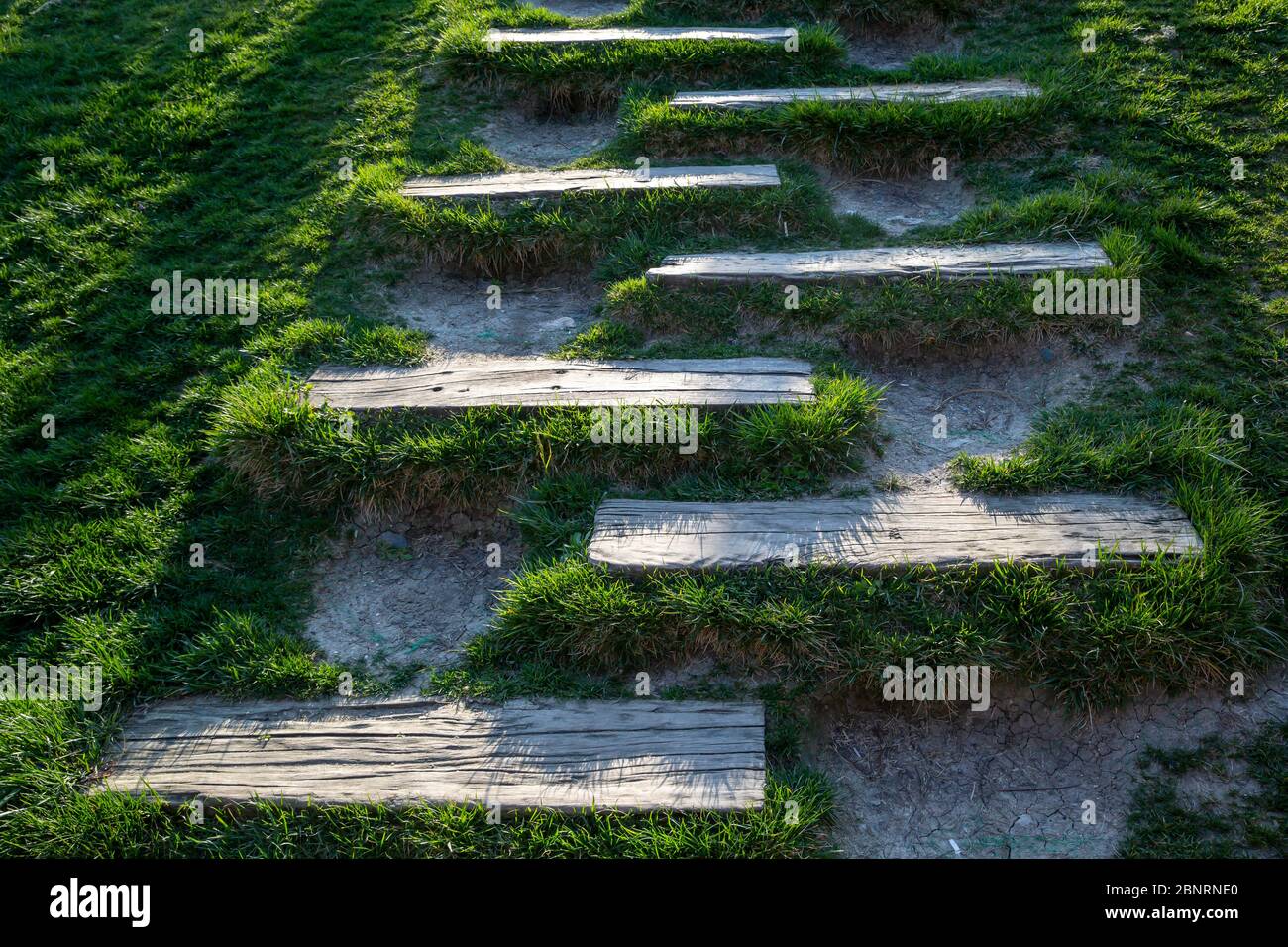 old wood stair in grass Stock Photo - Alamy