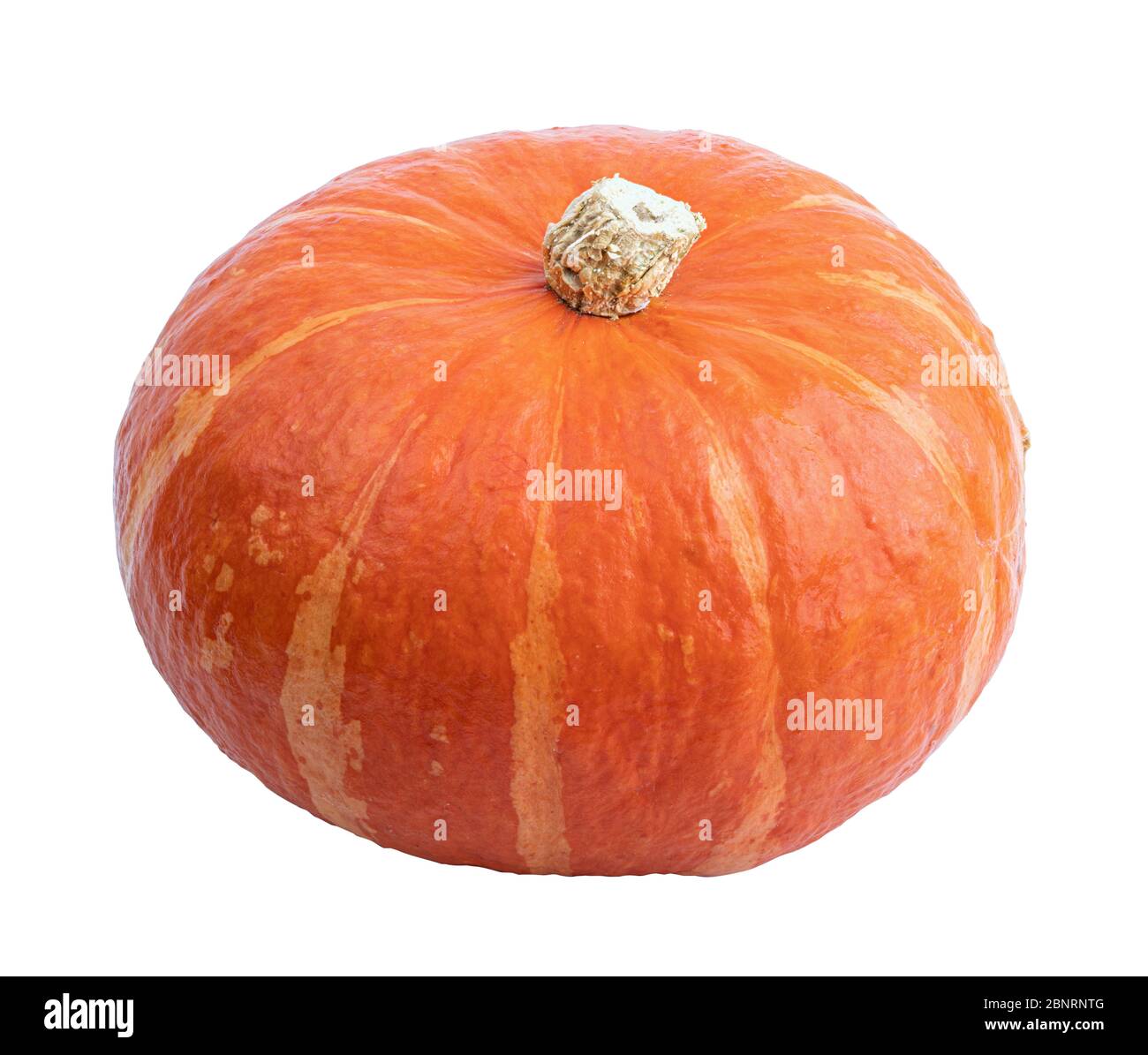 Pumpkin isolated on white background Stock Photo - Alamy