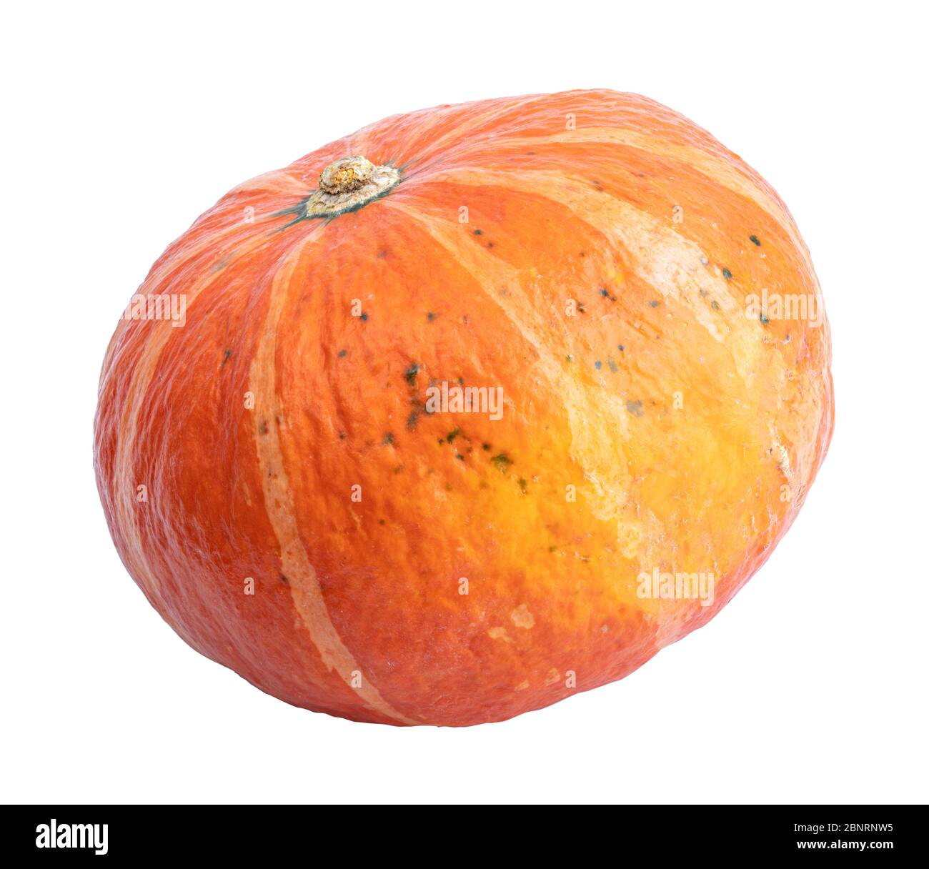 Pumpkin isolated on white background Stock Photo - Alamy
