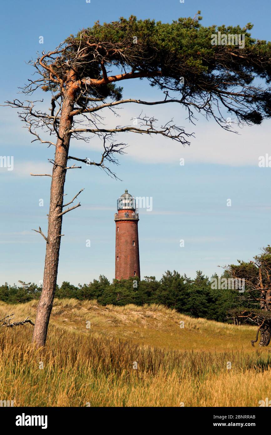 Darsser ort on the peninsula fischland darss zingst hi-res stock ...