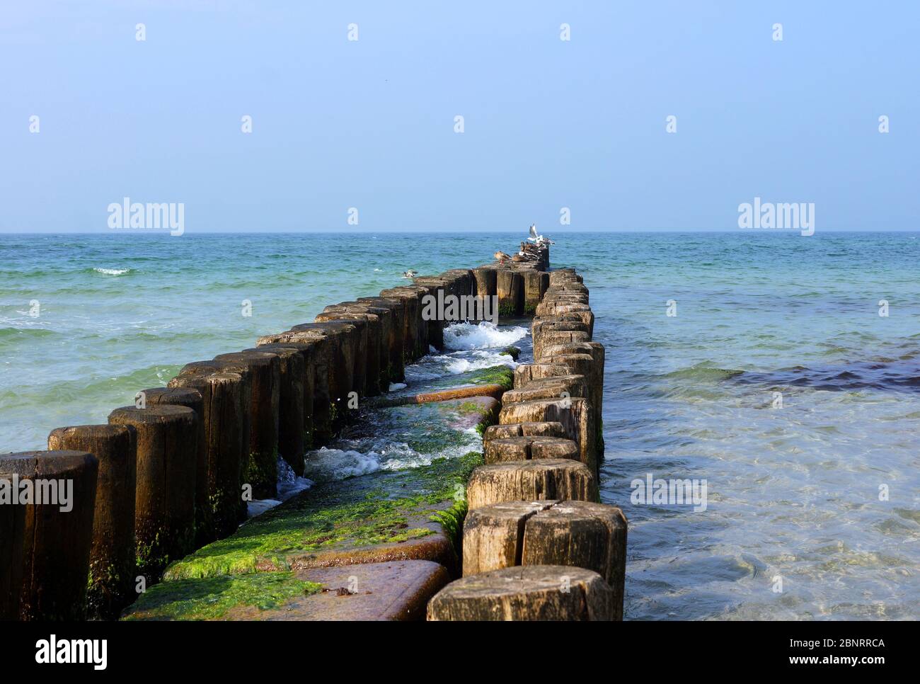Darsser ort on the peninsula fischland darss zingst hi-res stock ...