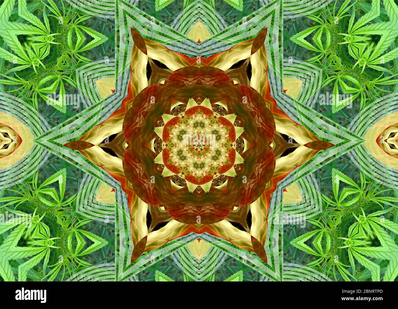 The Marijuana Mandala - intricate circular design containing concentric ...