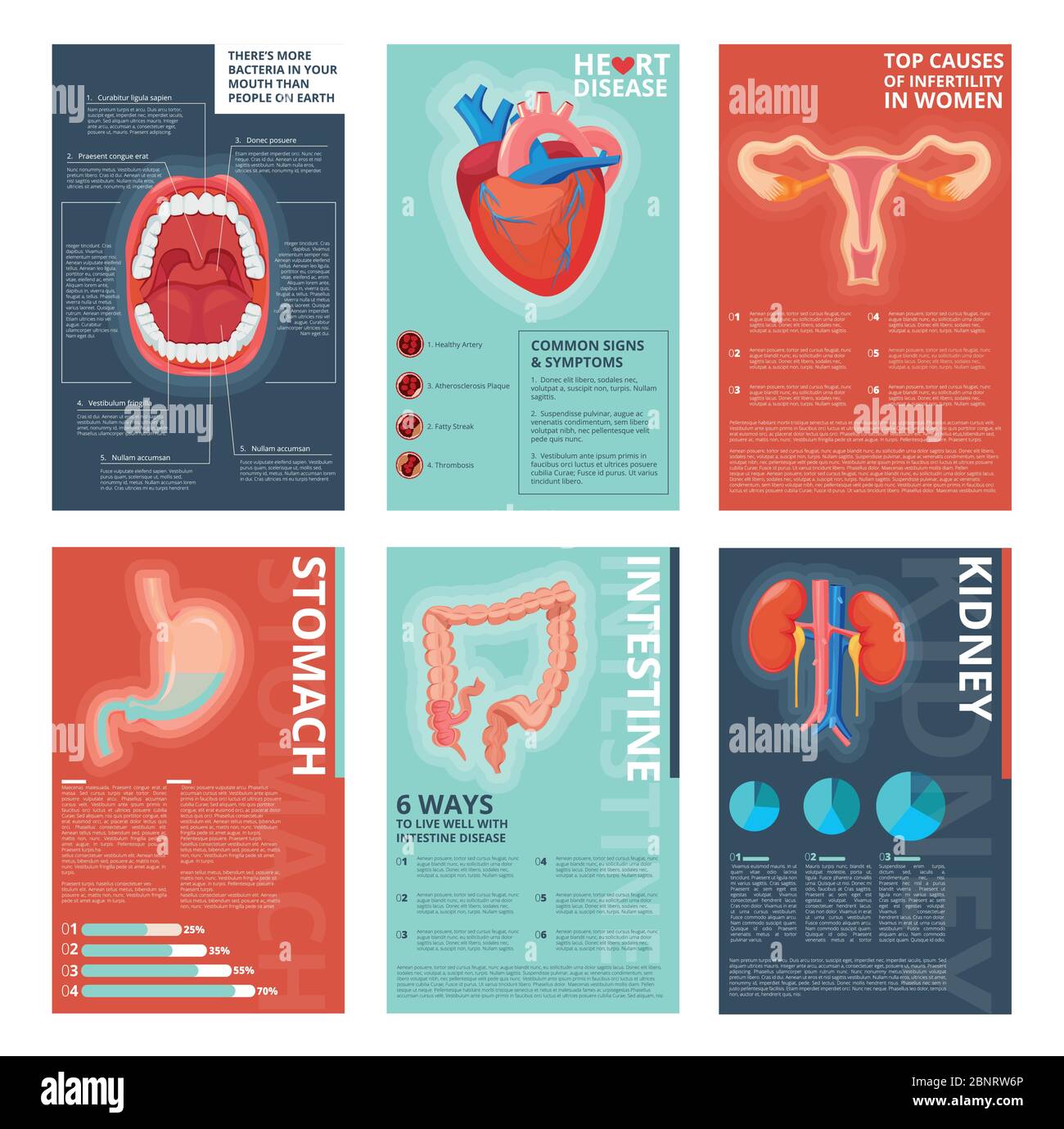Digestive System Quotes