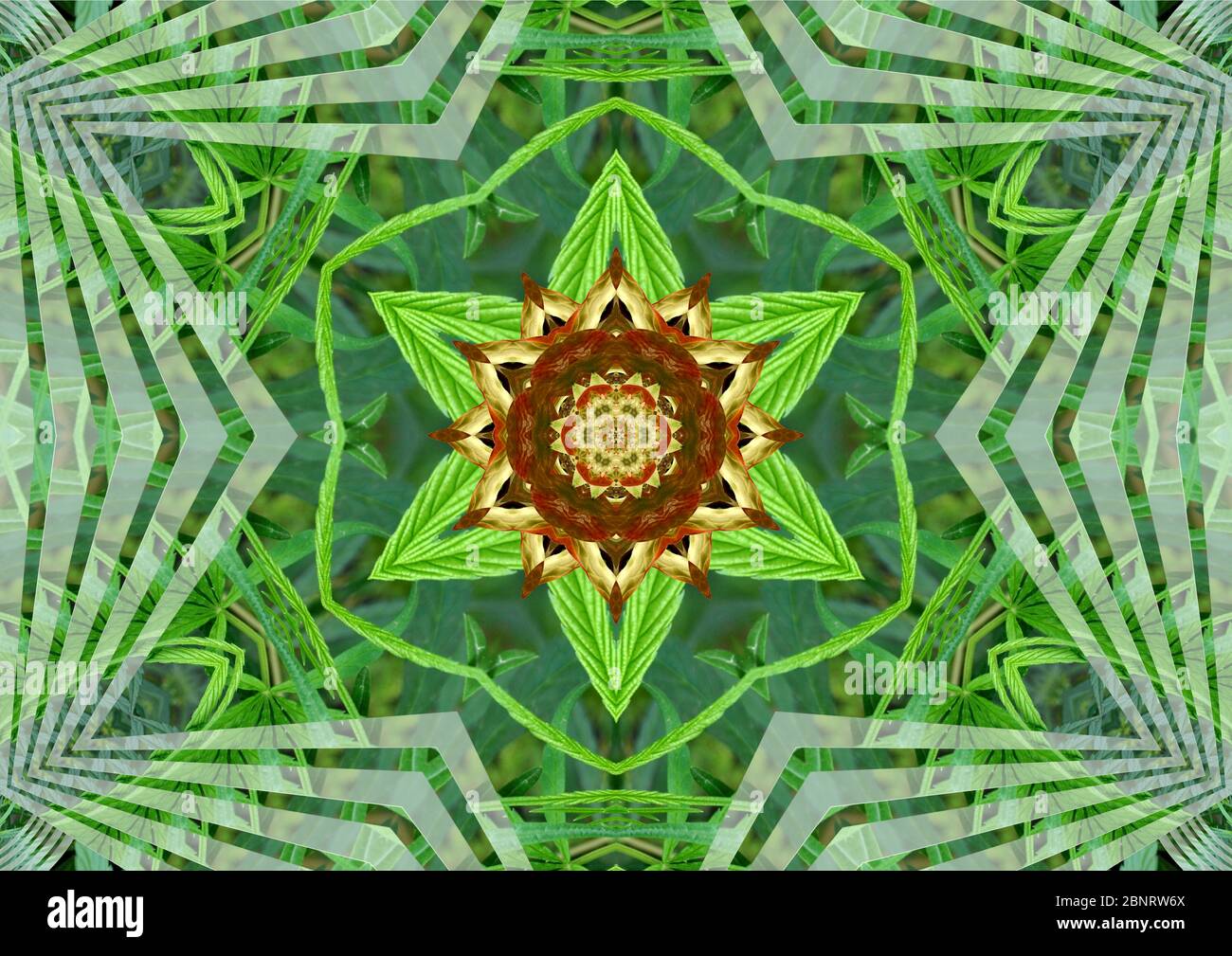 Marijuana Mandala for medicinal purposes only Stock Photo - Alamy