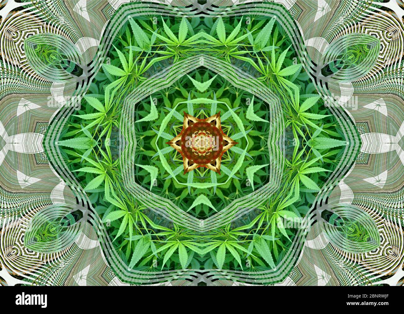 High Time Mandala Time. Marijuana mandala with interweaving leaf design ...