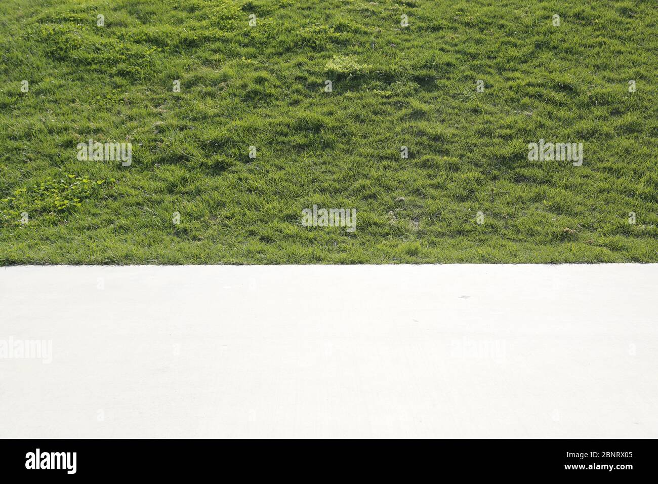 close up natural green grass backgrounds Stock Photo - Alamy