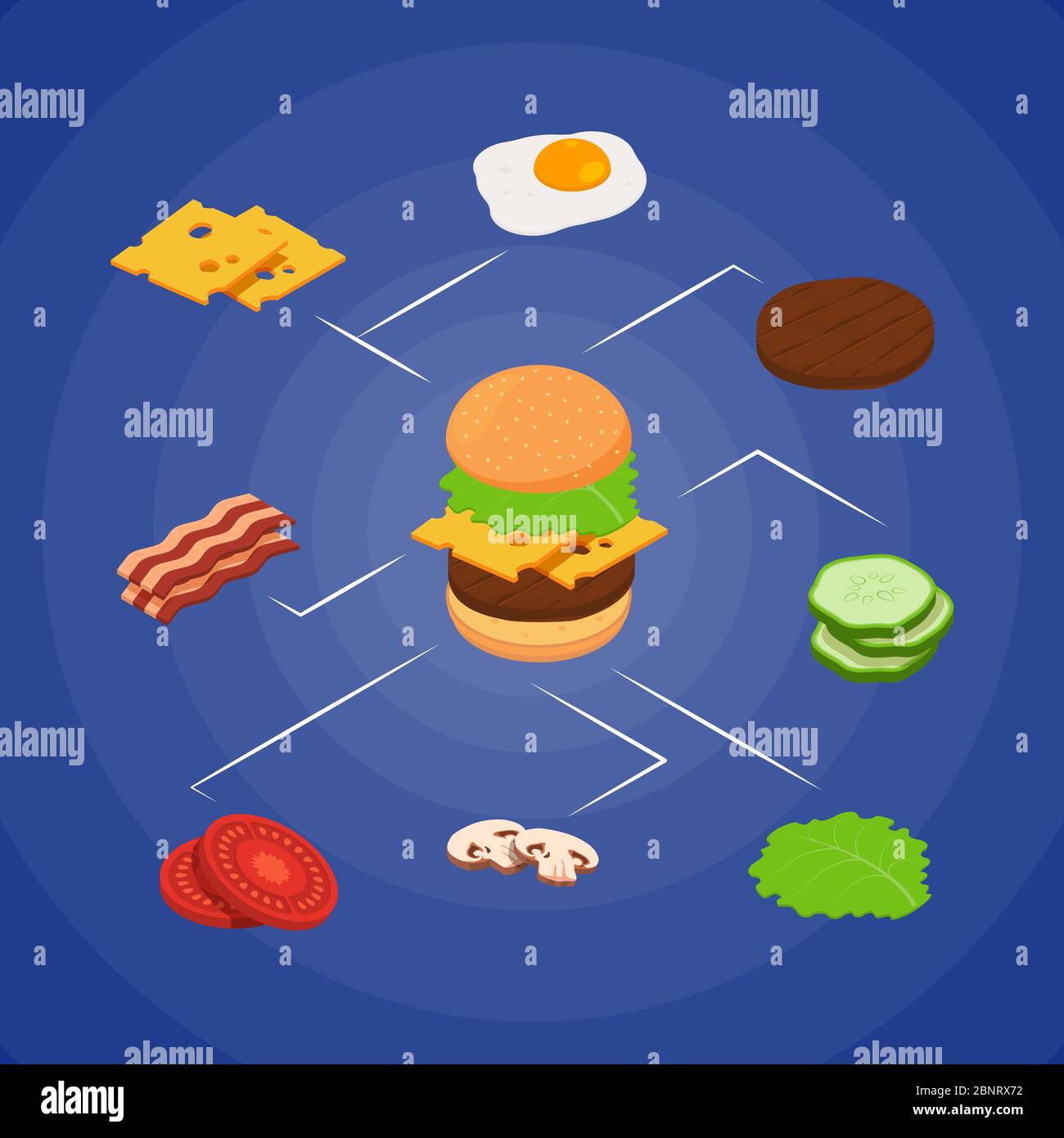 Vector isometric burger ingredients infographic concept illustration ...