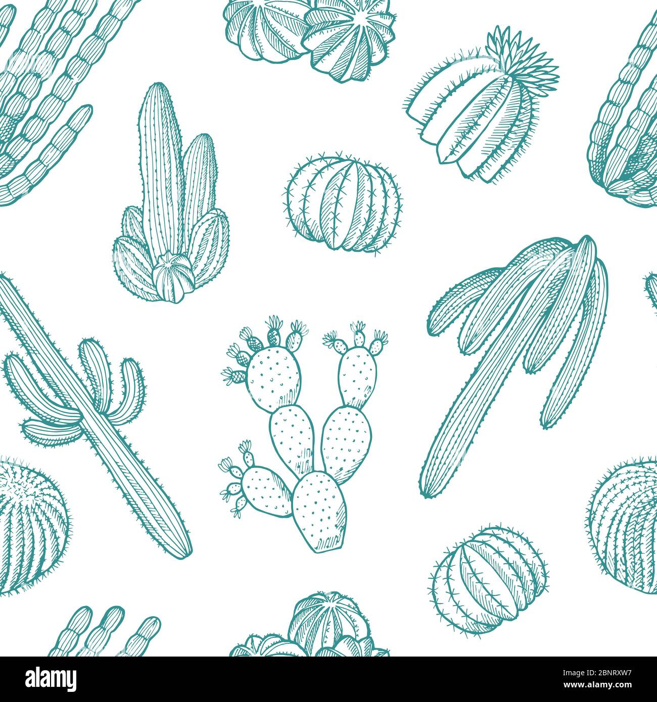 Vector hand drawn wild cacti plants pattern illustration Stock Vector ...