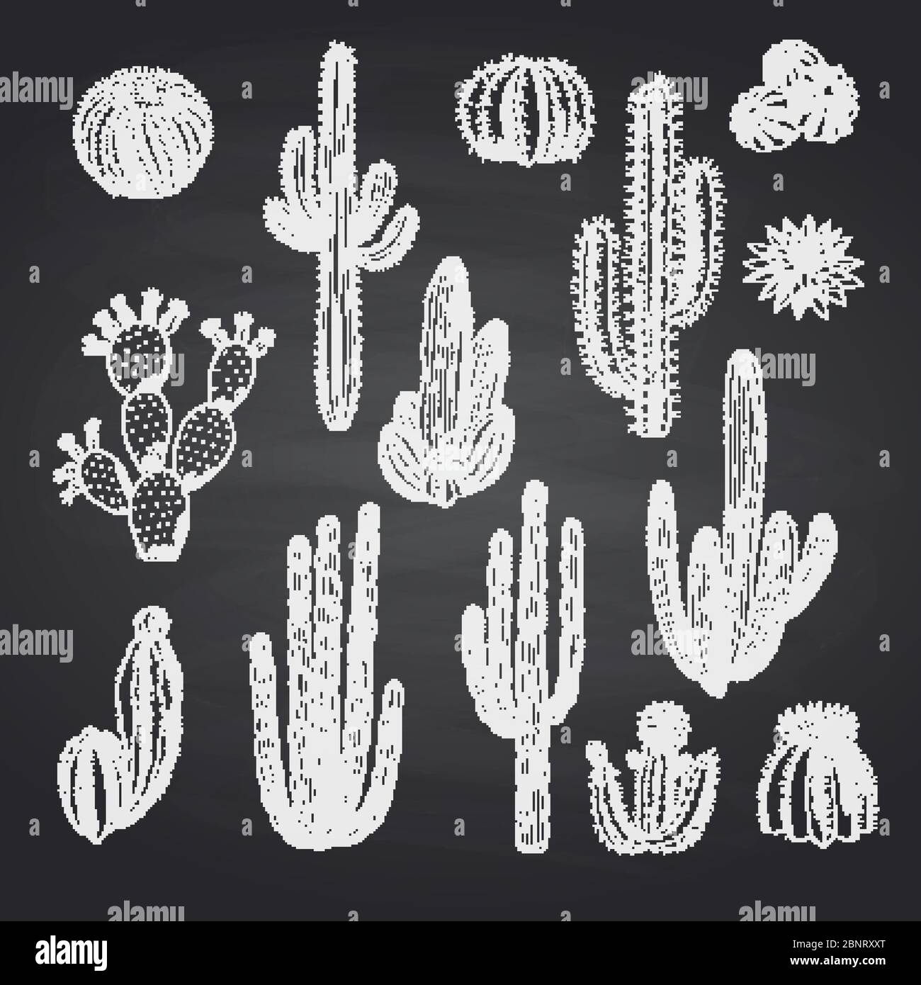 Agave plant in home Stock Vector Images - Alamy