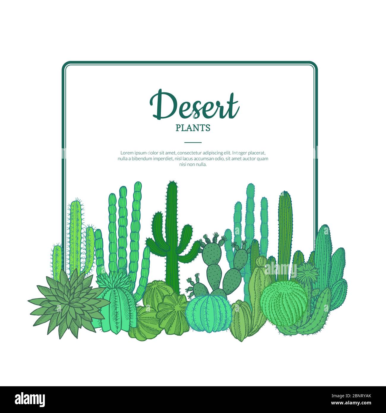 Vector hand drawn cacti plants. Cactuses Pattern Stock Vector Image ...