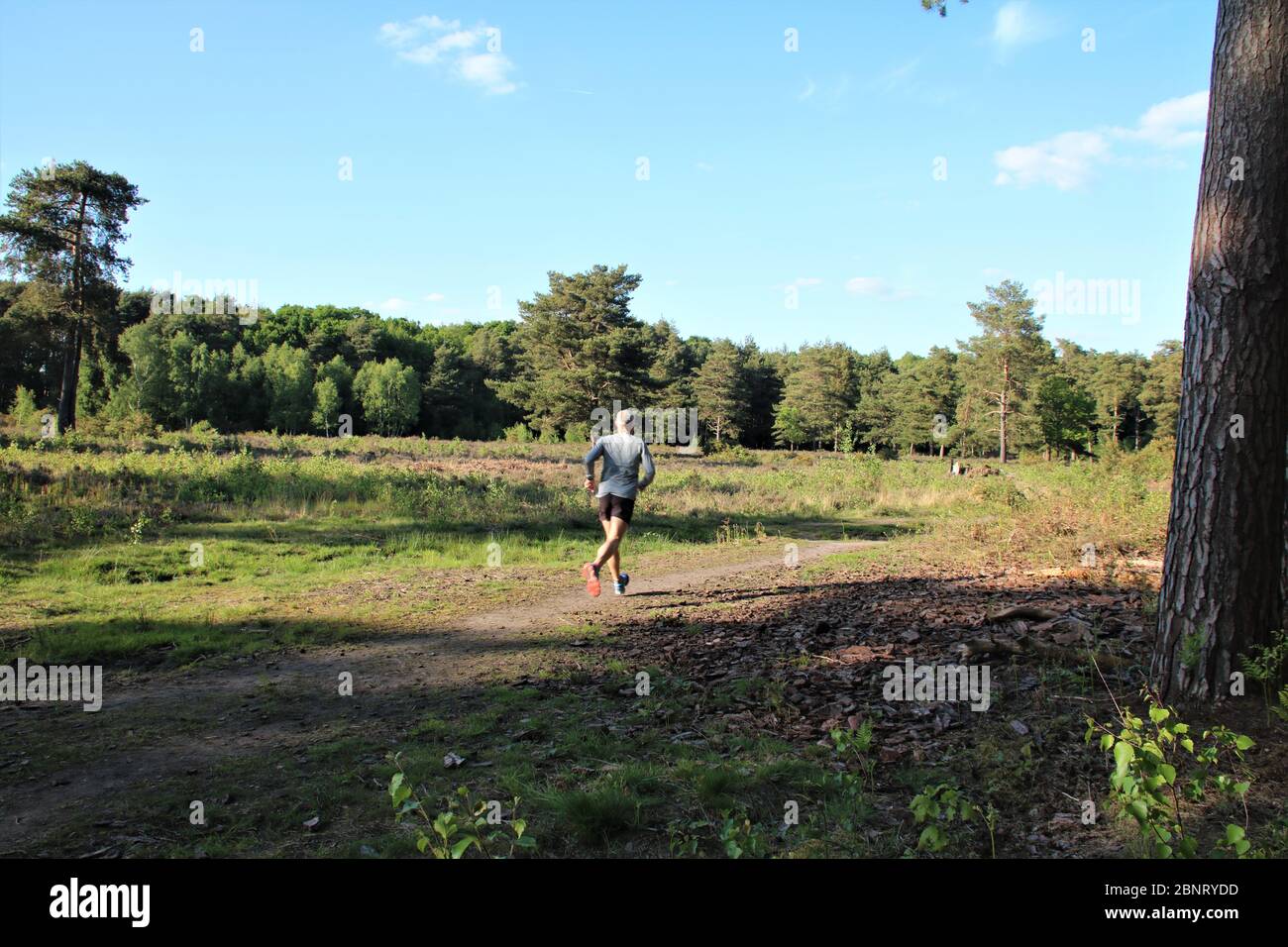 rear view of single runner running over common land Stock Photo - Alamy