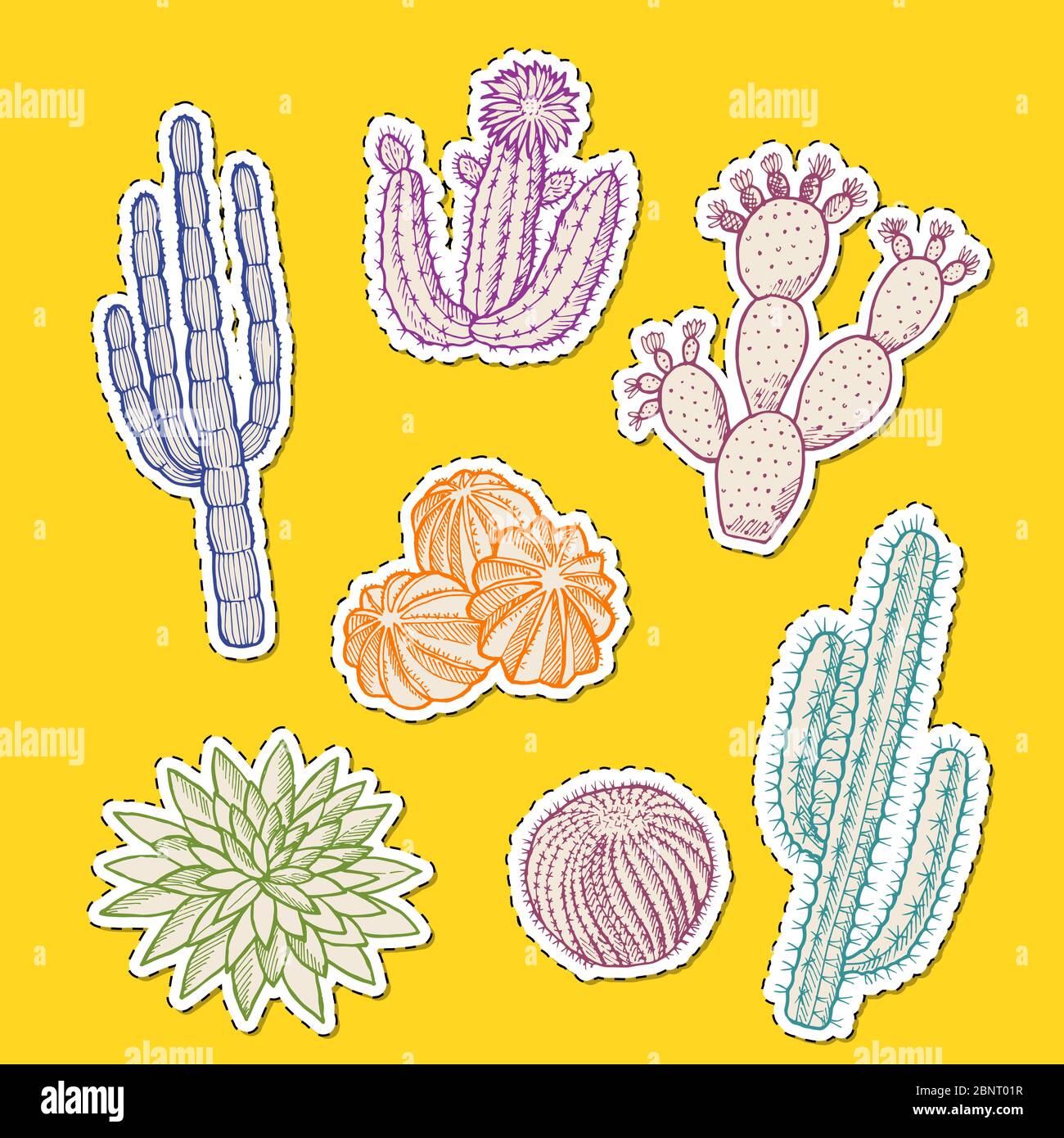 Vector hand drawn desert cacti stickers set illustration Stock Vector ...
