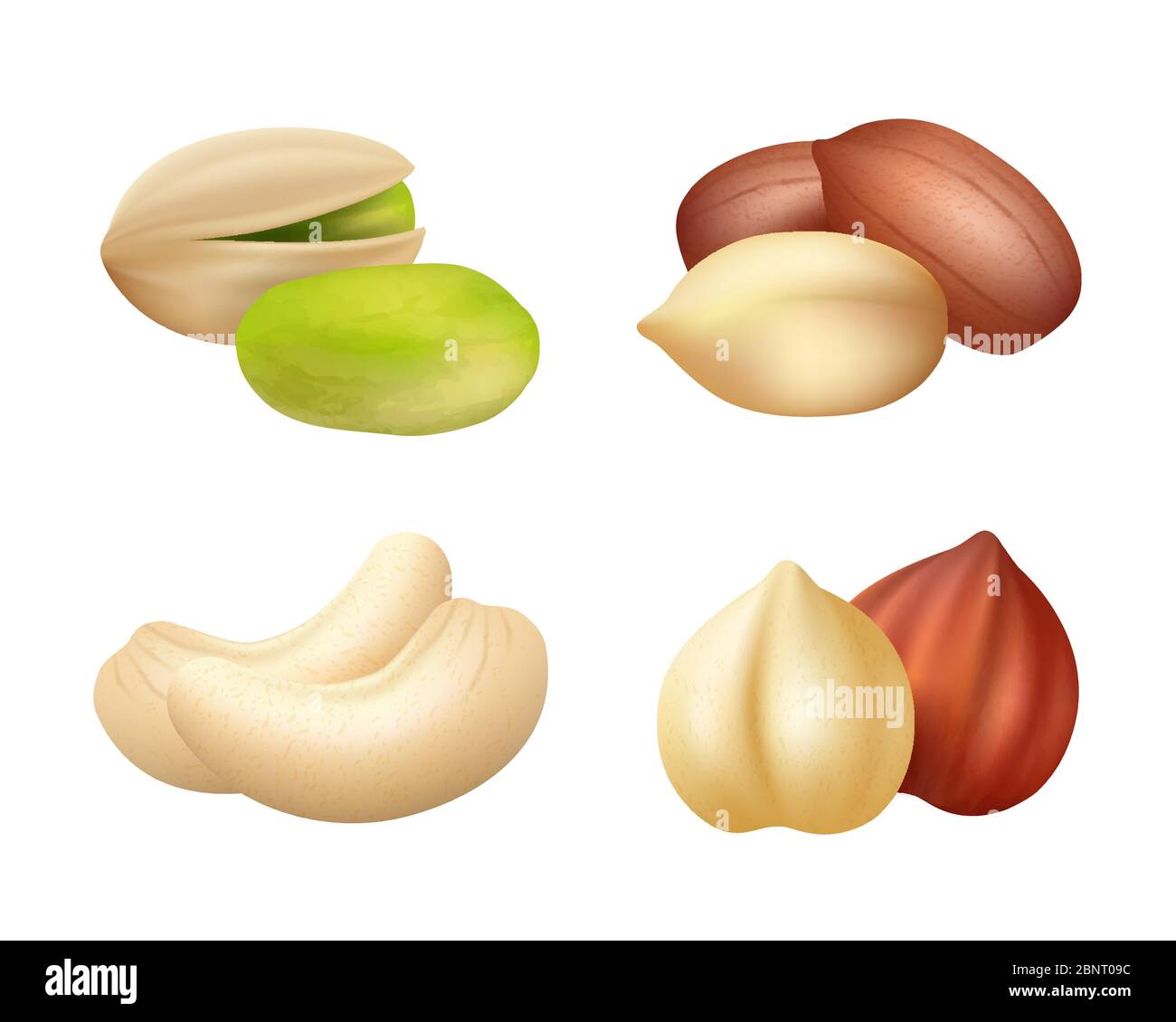 Nuts realistic. Mixed seeds dry food dried cashew vector pictures of ...